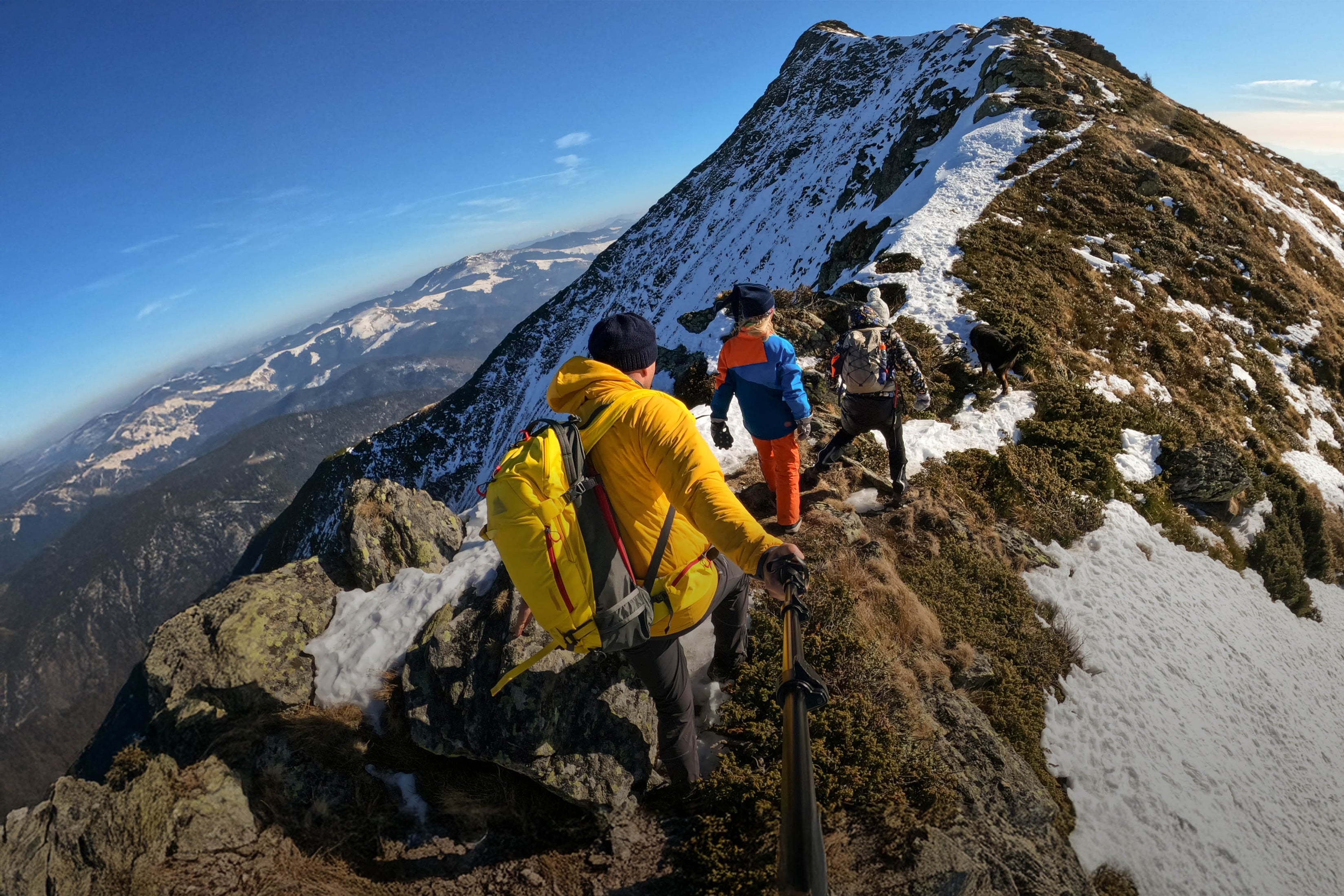 Financial Services EMEIA | EY - Global