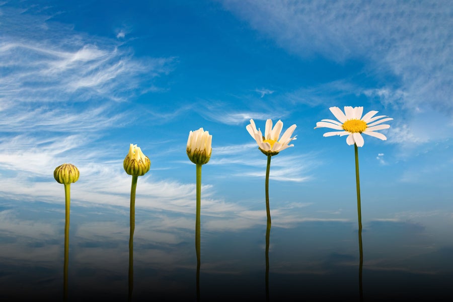 India 2050: targeting $30 trillion economy | EY - India