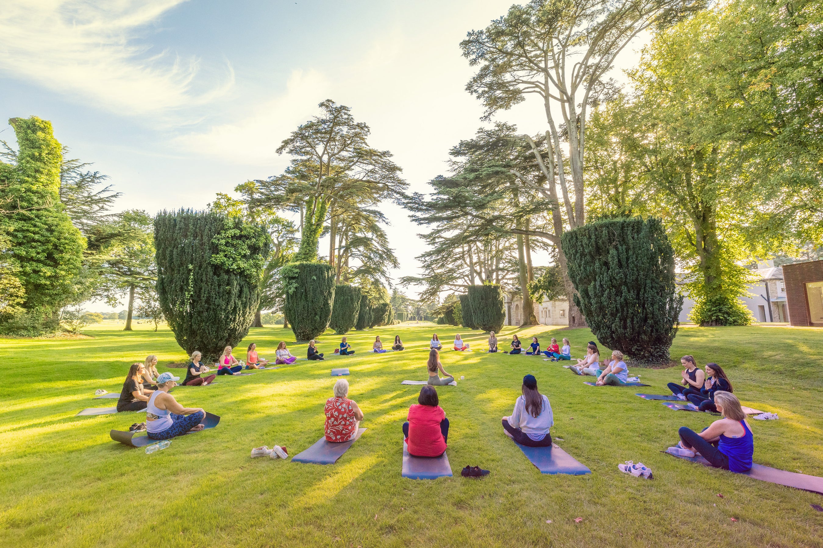 Graduate Programme 2026 | EY - Ireland