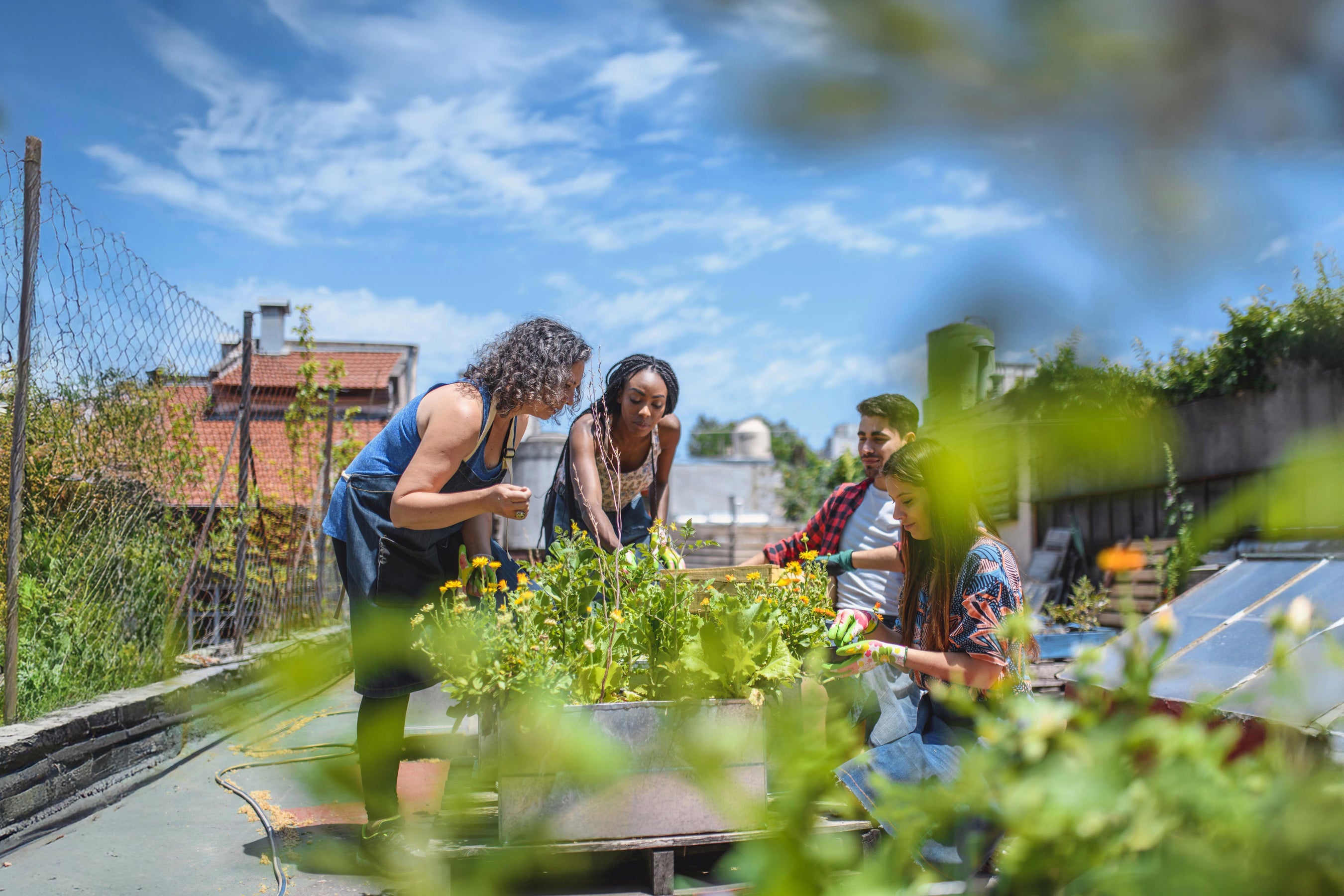 Community Impact | EY - US