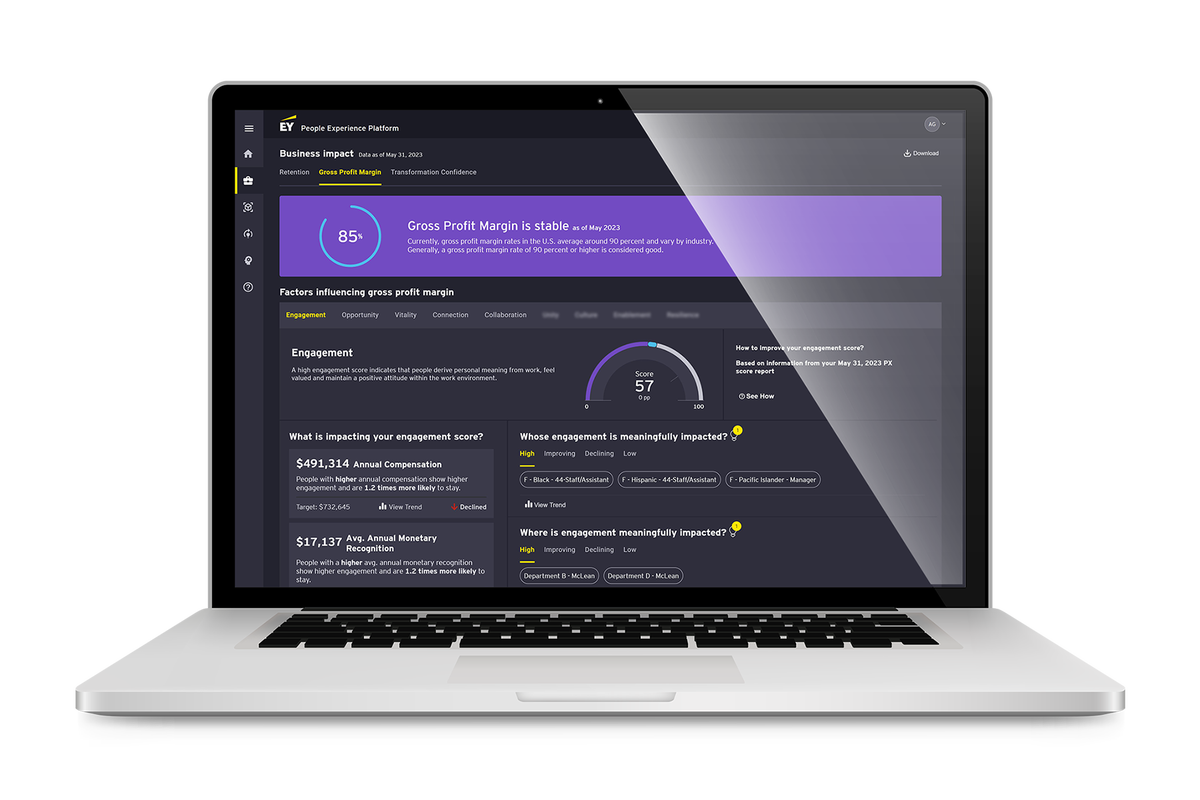 EY People Experience Platform: global workforce insights tool | EY - Global