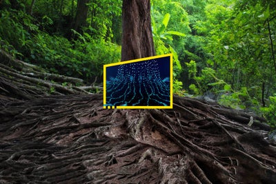 ESG Reporting | EY - US