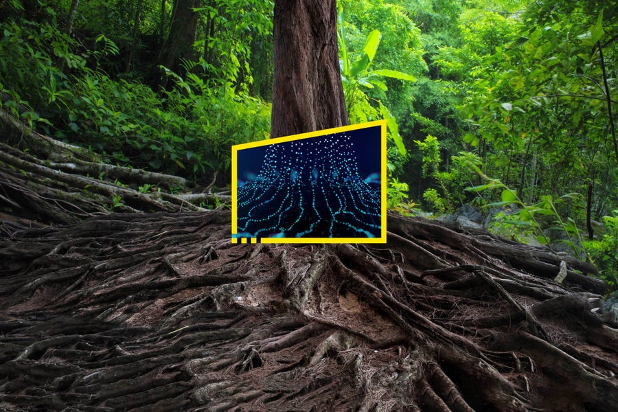 ESG Reporting | EY - US