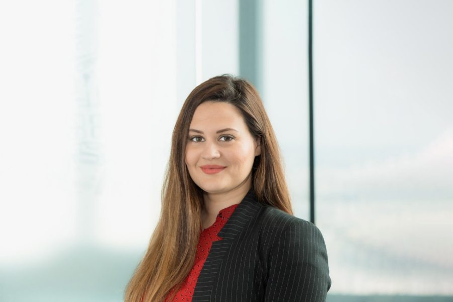 EY Global Data Privacy Law Guide | EY - Global