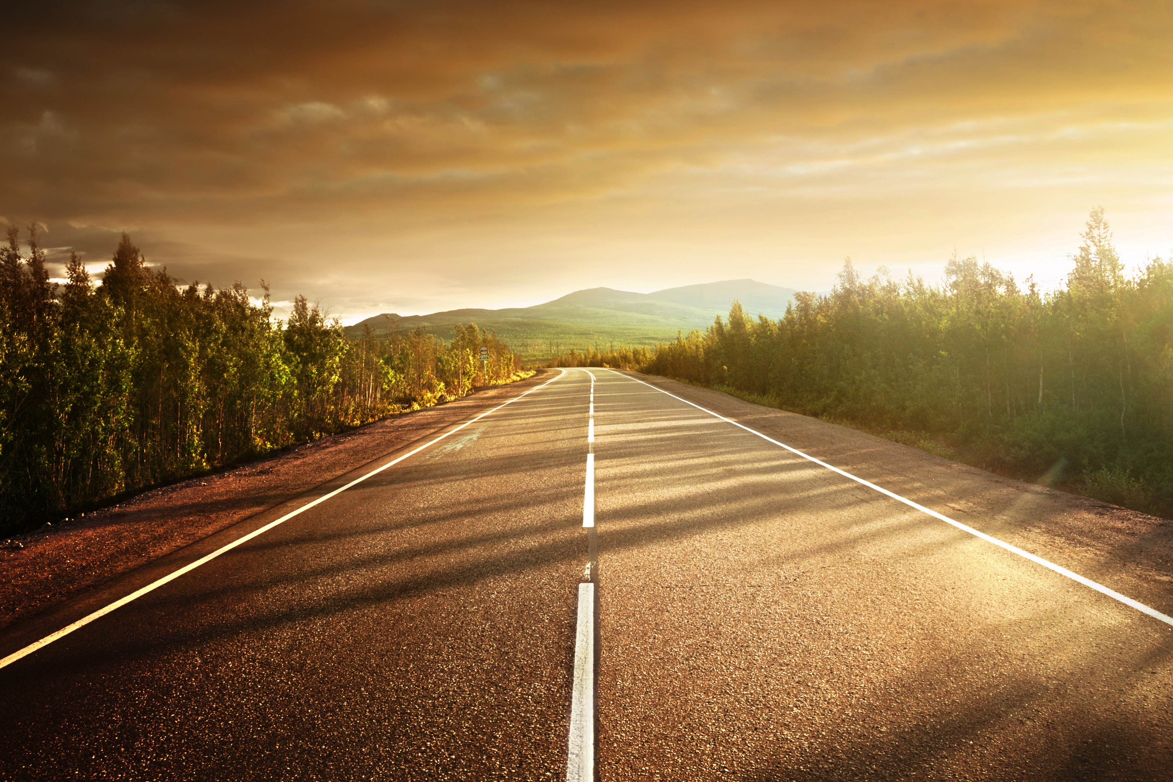 Sandra Farhat EY Oceania Tax Partner | EY - Australia