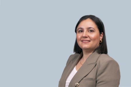 Nuevos pasos hacia la implementación del Pilar 2 en España: publicación ...