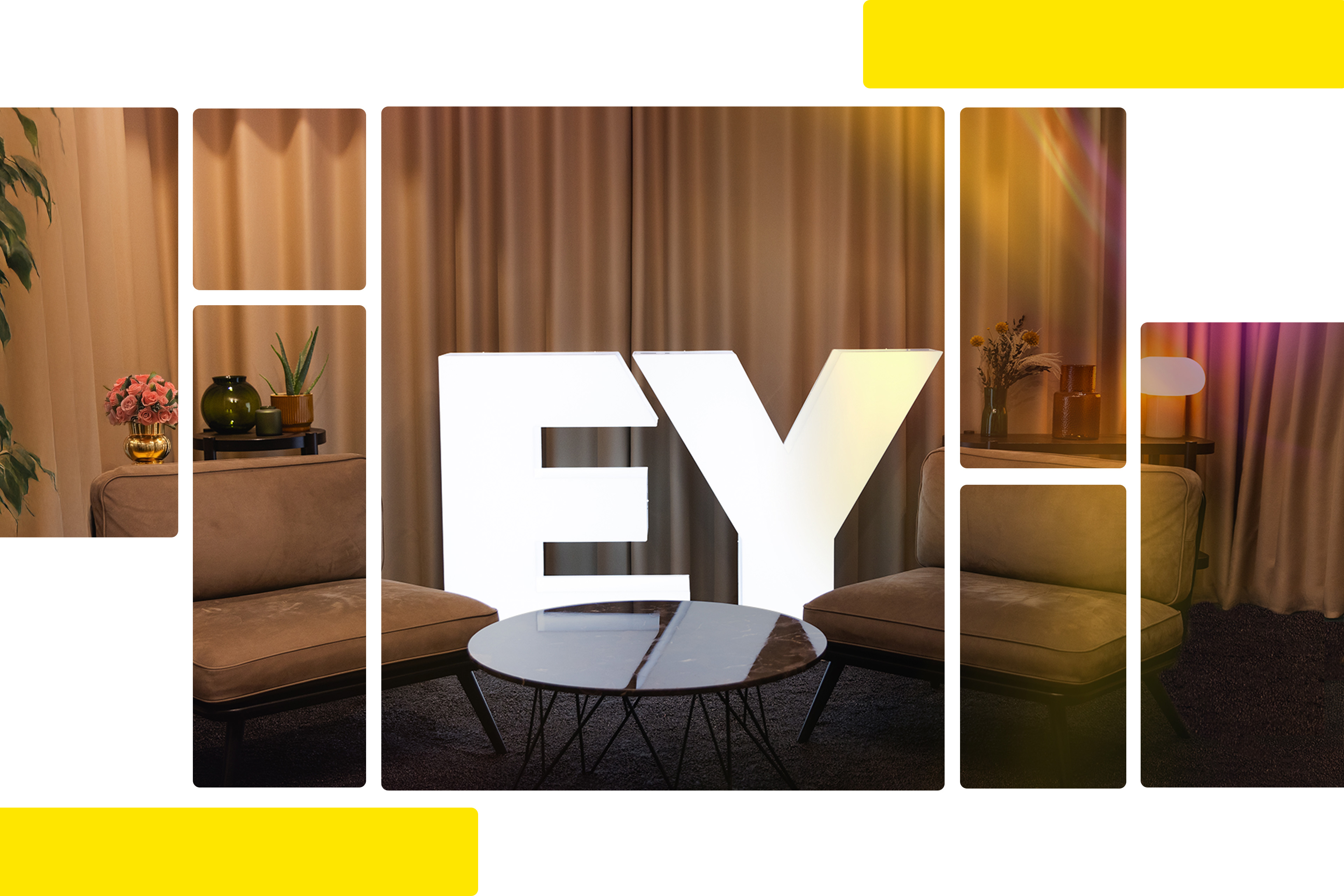 EY’s Overblikswebinar | EY - Danmark