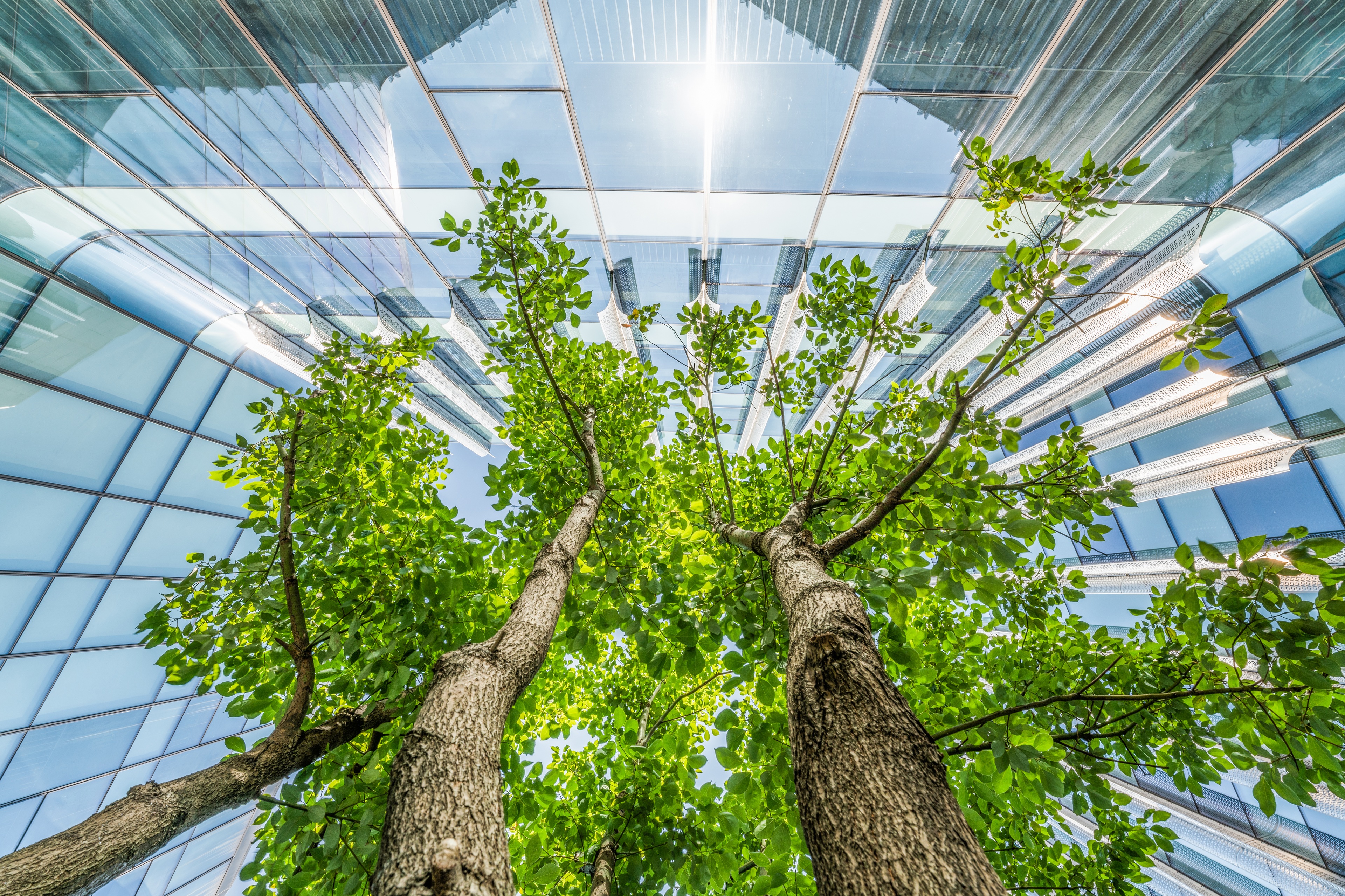 Wealth & Asset Management Webcast | EY - Deutschland