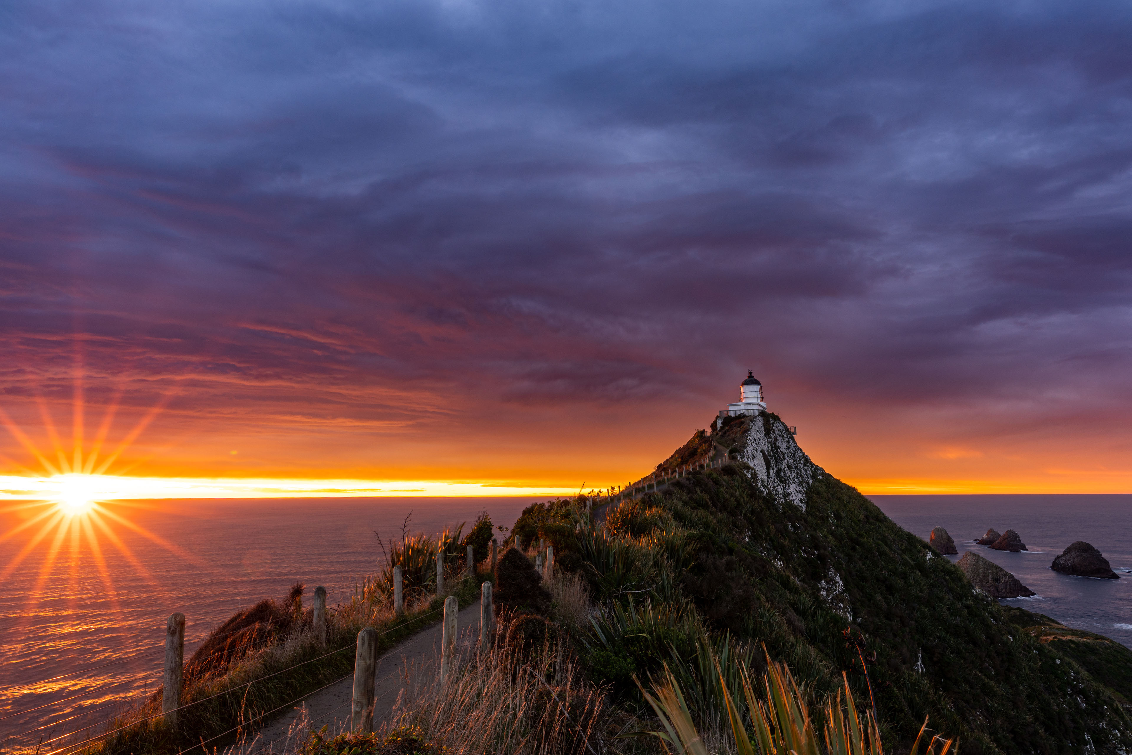 EY Oceania Value Realised Scorecard 2025 | EY - New Zealand