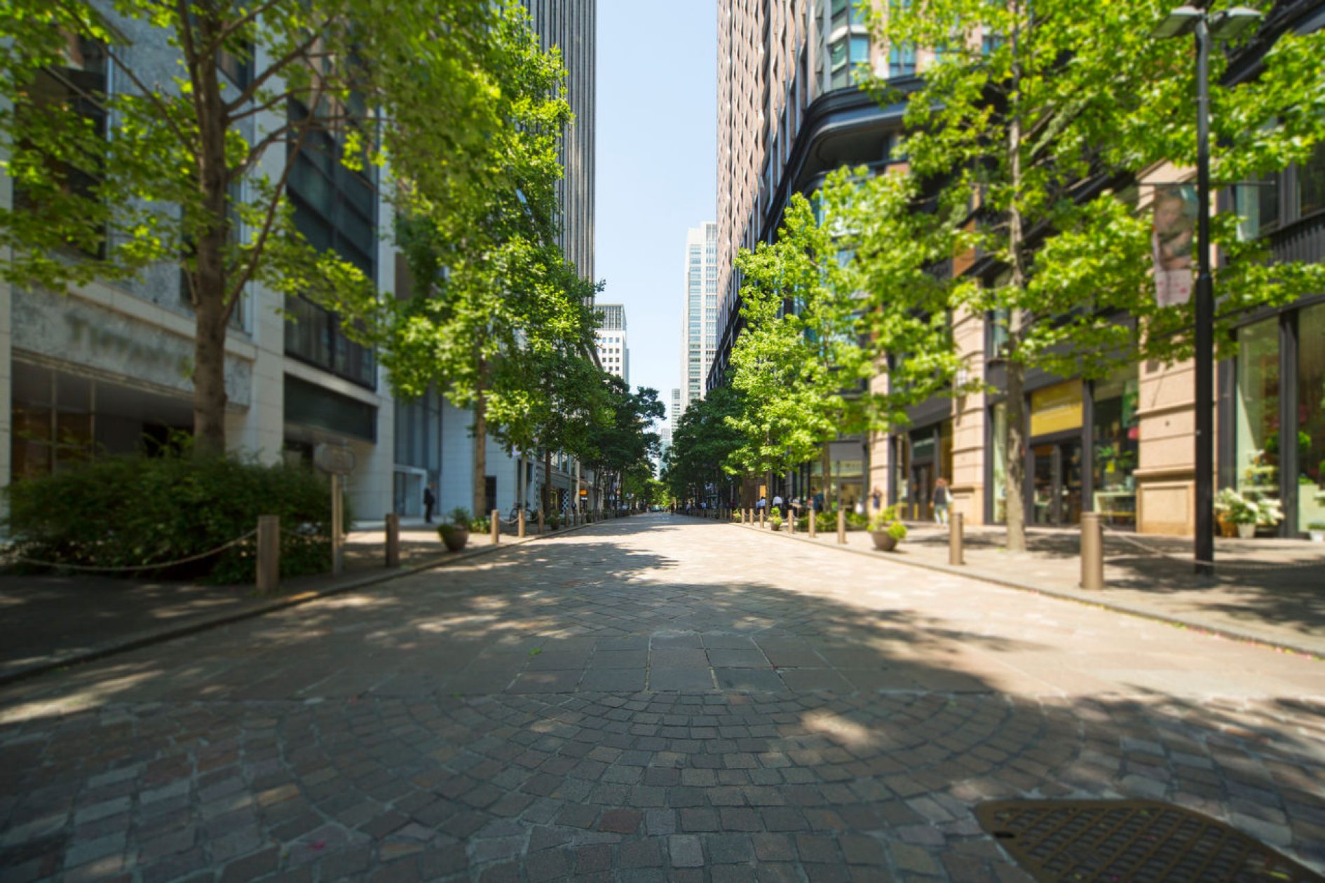 Climate change & Sustainability services | EY - Australia