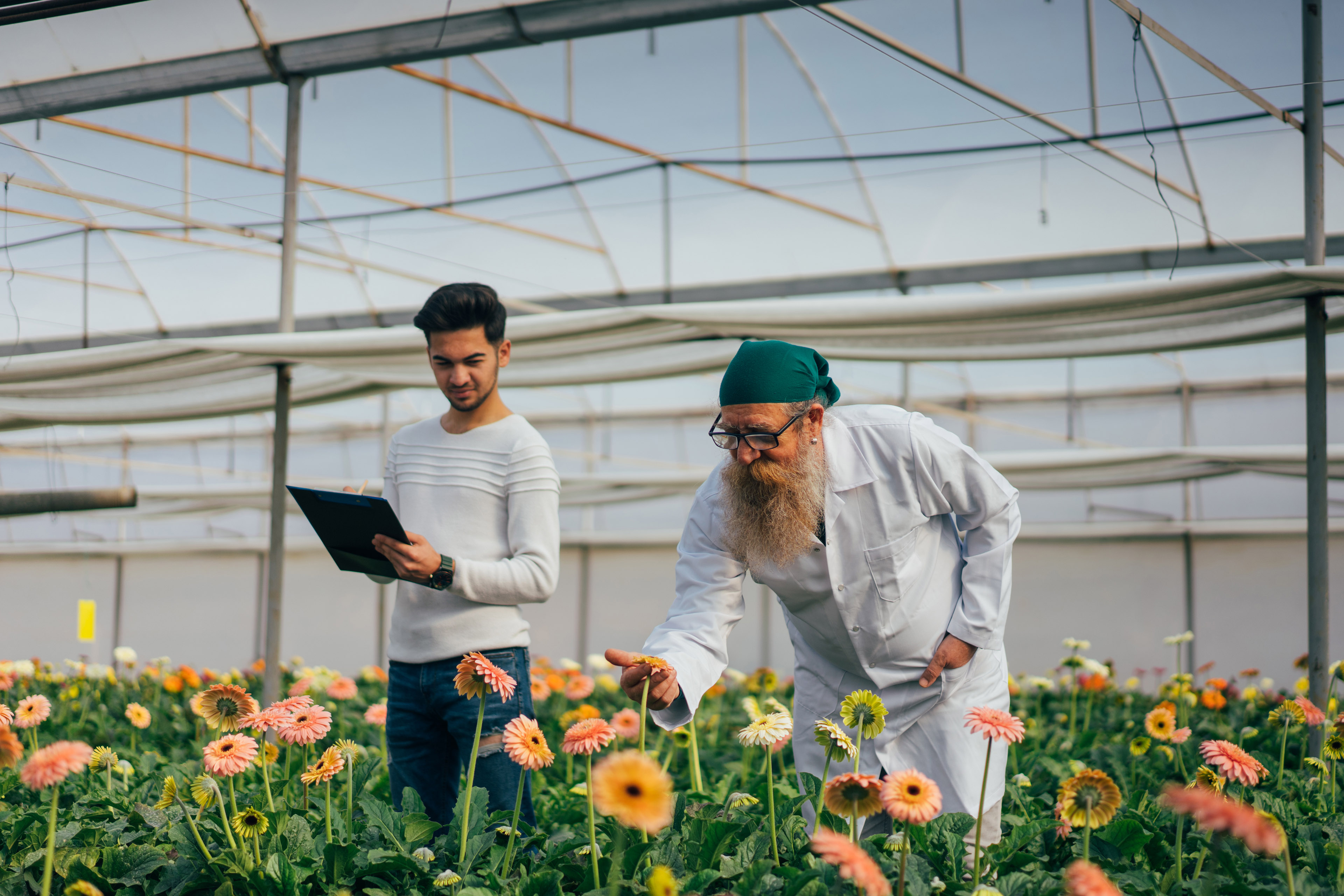 Five most common family business challenges | EY - Canada