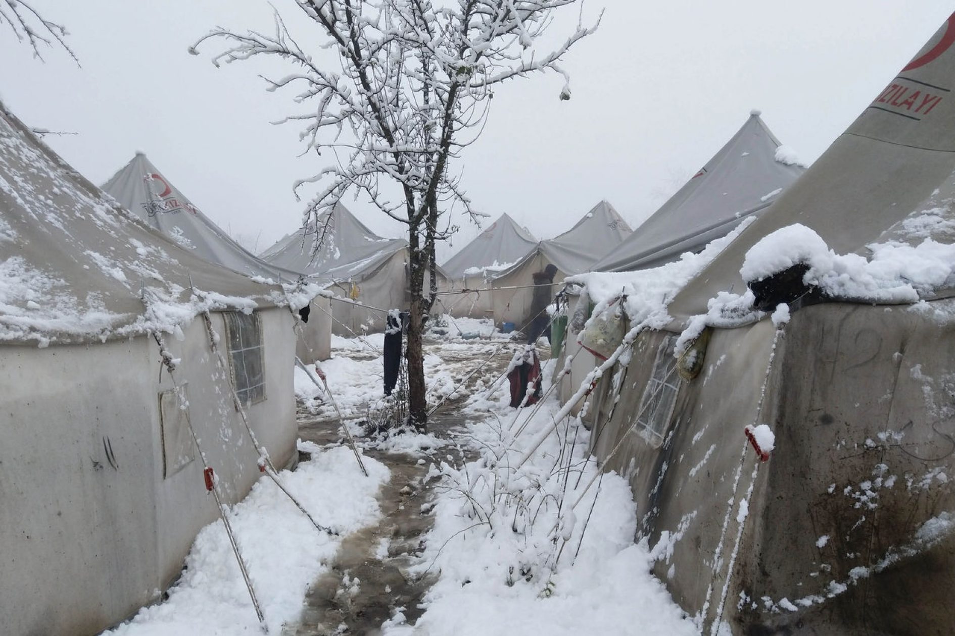 SDGs in business | Insights, case studies & services | EY - MENA