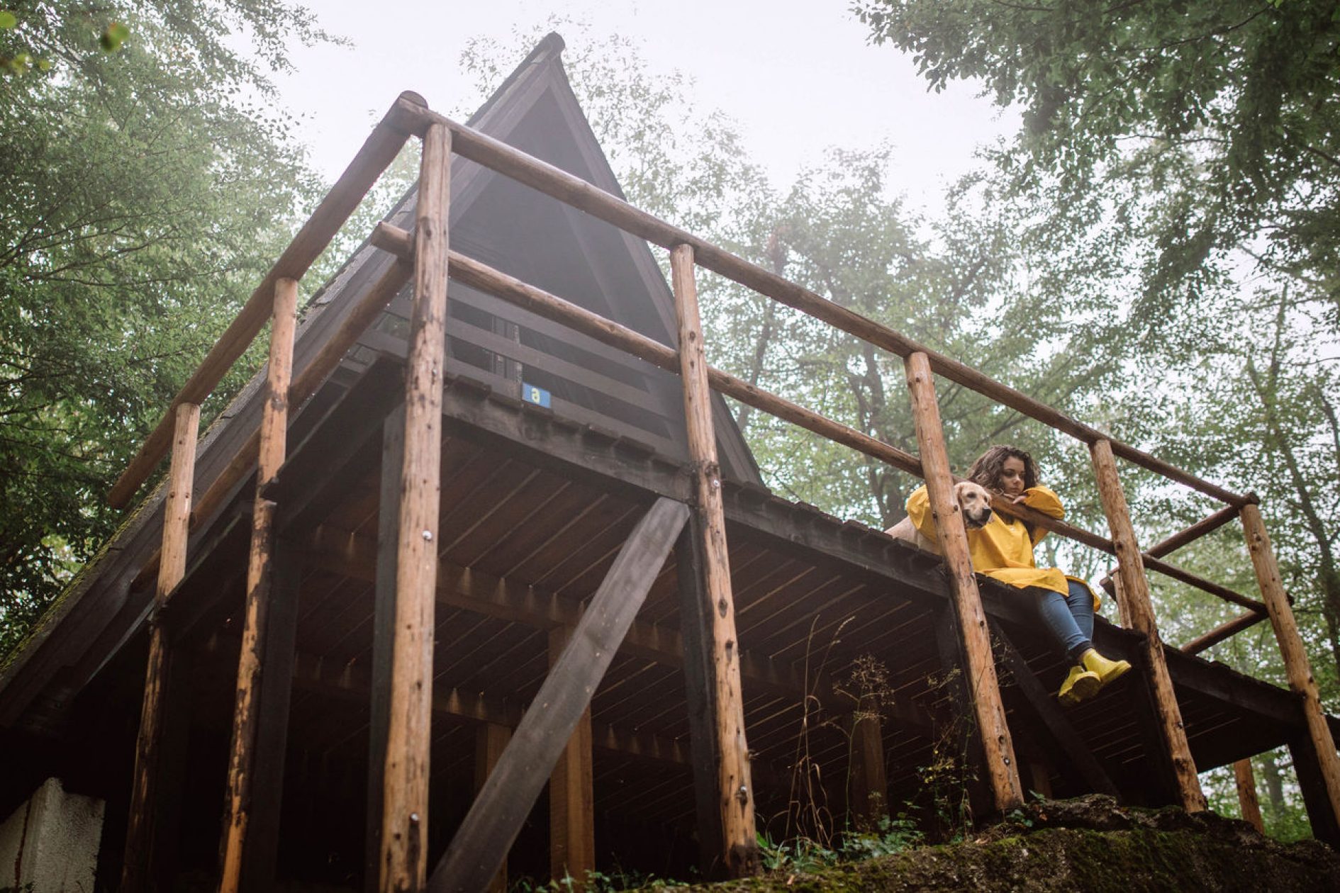 EY–Microsoft Alliance | EY - Global