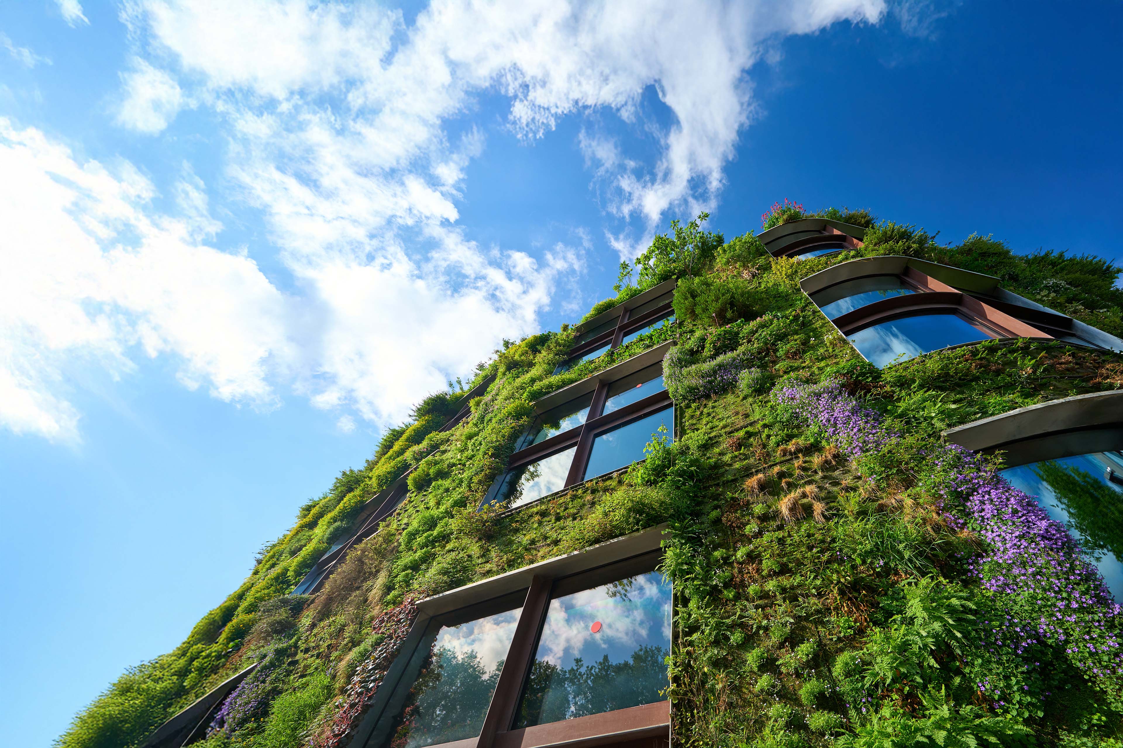 Accelerating Net Zero with Data and Technology | EY - Global