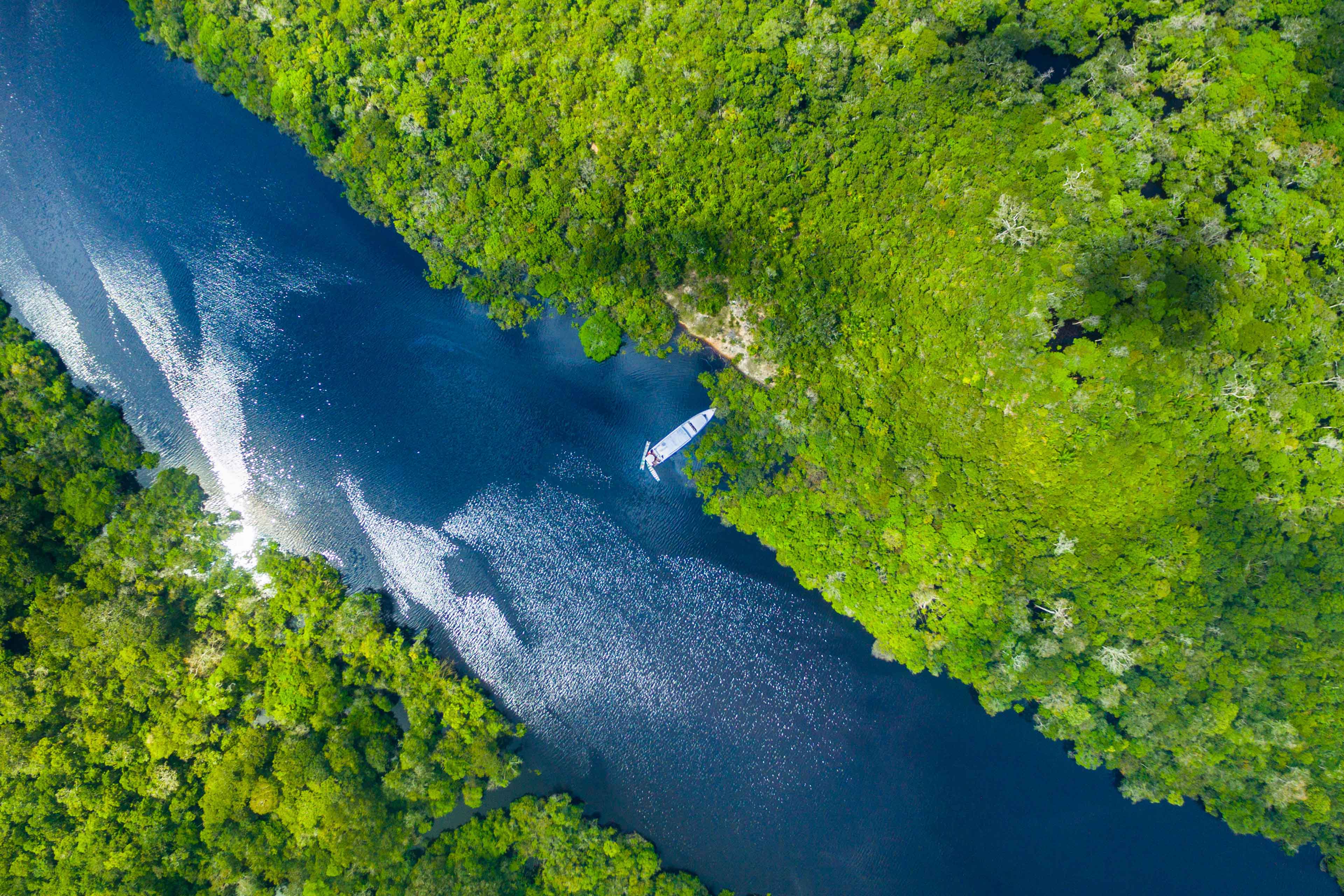 Sustainability as a driver of business value | EY - Switzerland