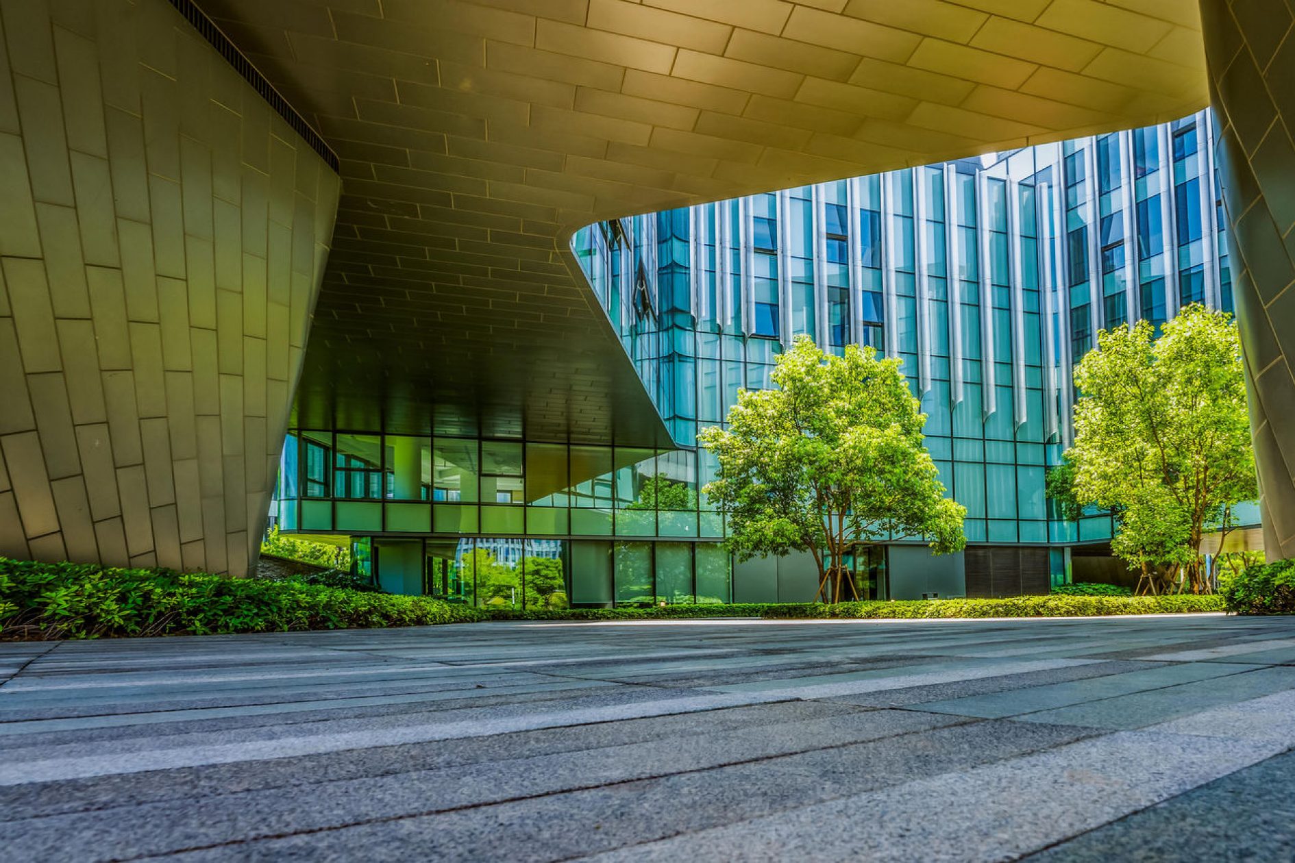 Financial accounting advisory services | EY - US