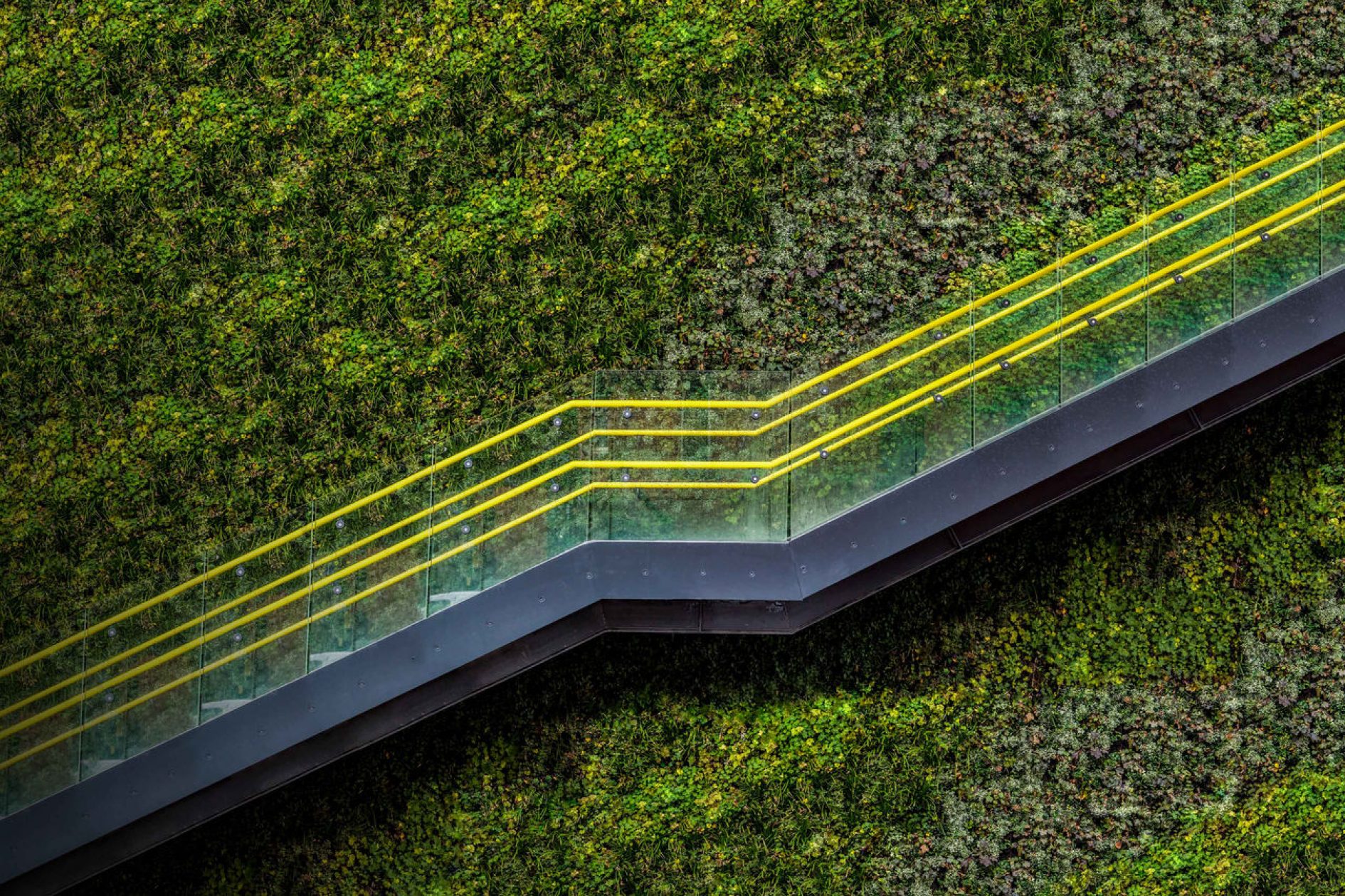 Assurance | EY - Global