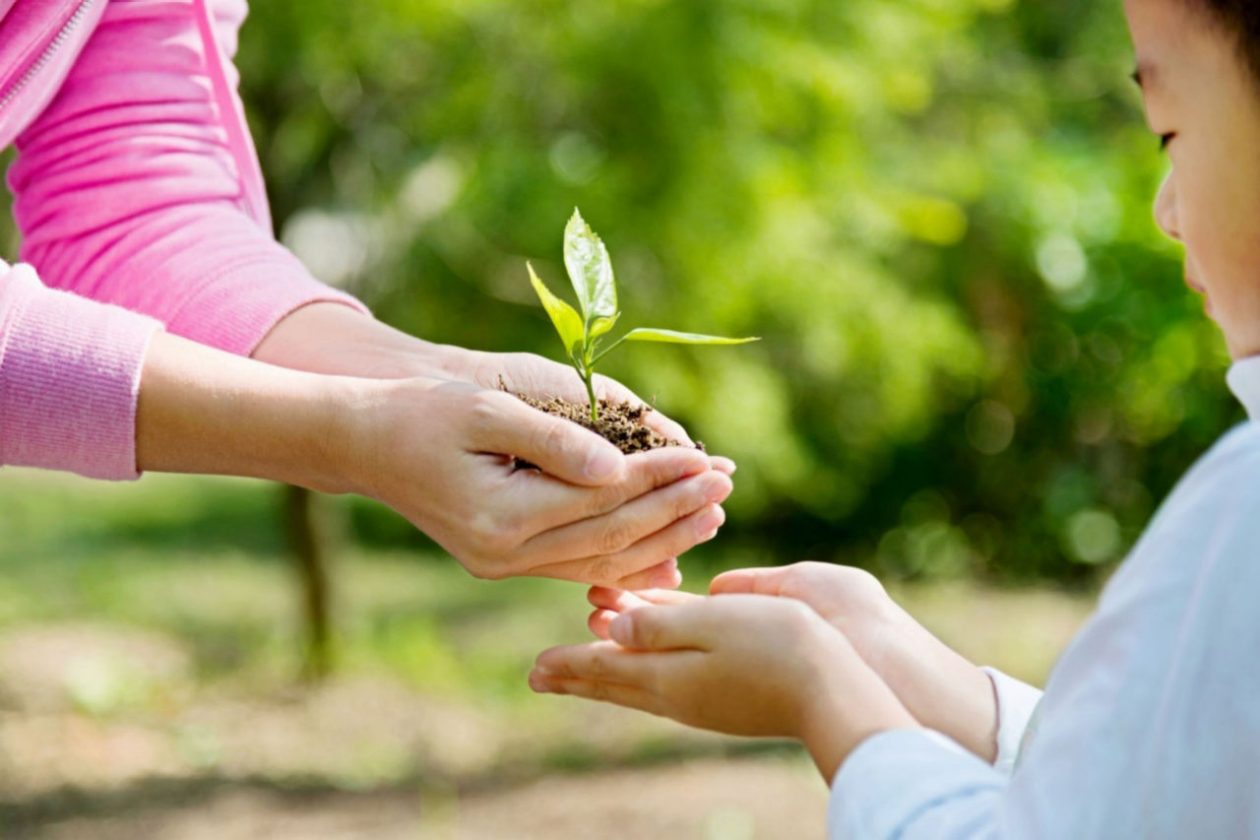 Climate change & sustainability services | EY - Global
