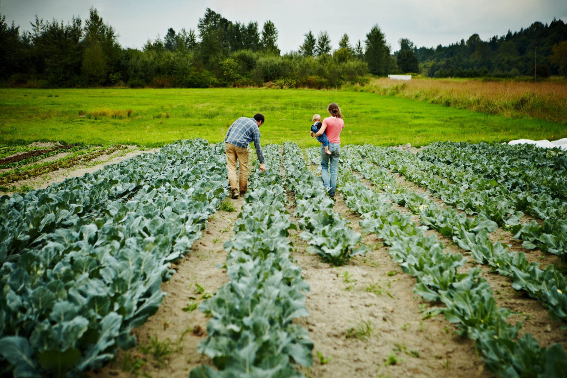 Climate change & sustainability services | EY Indonesia