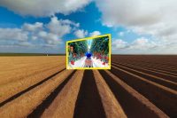 EY Atlas Client Edition | EY - Global