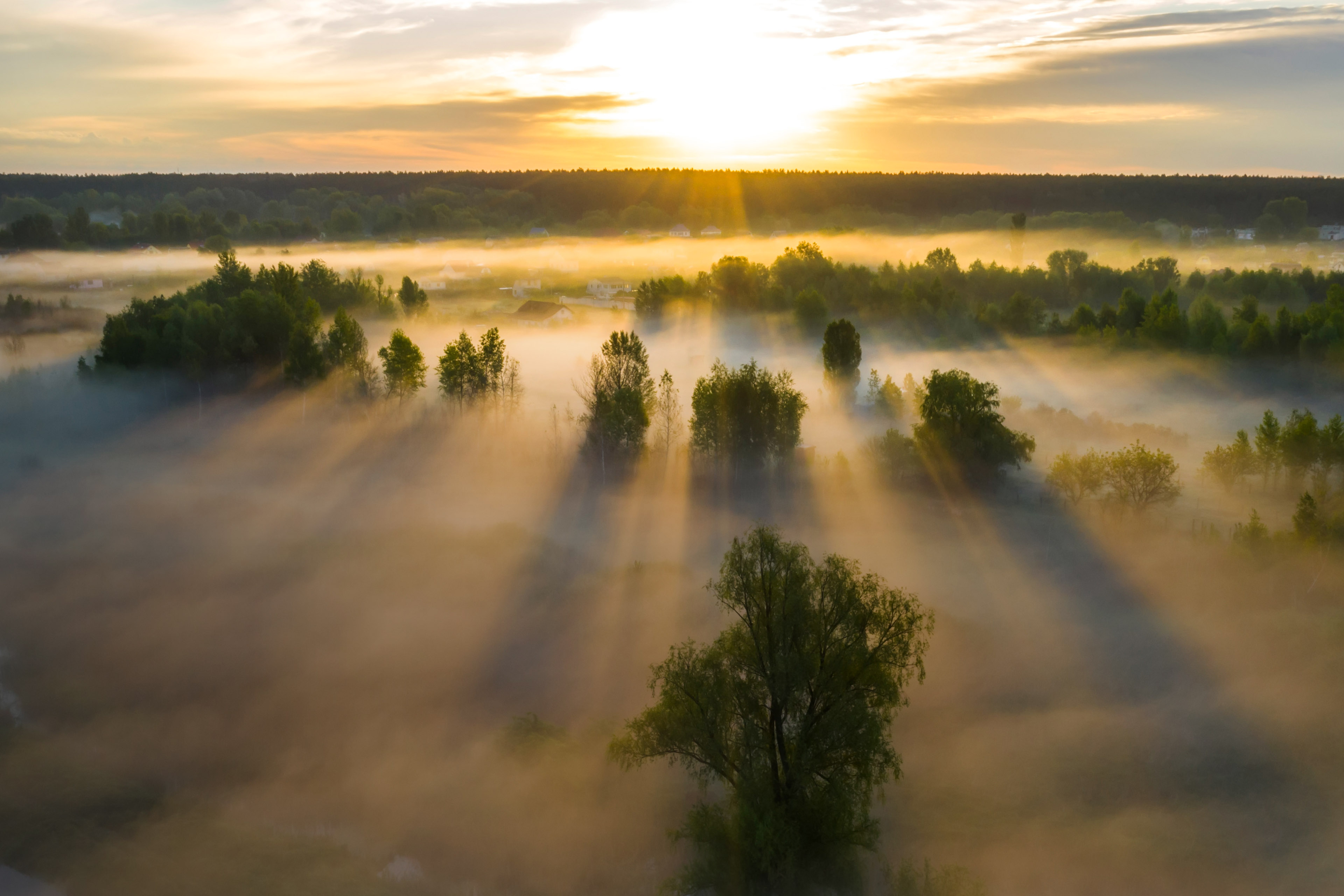 How to navigate the changing landscape | EY - Finland