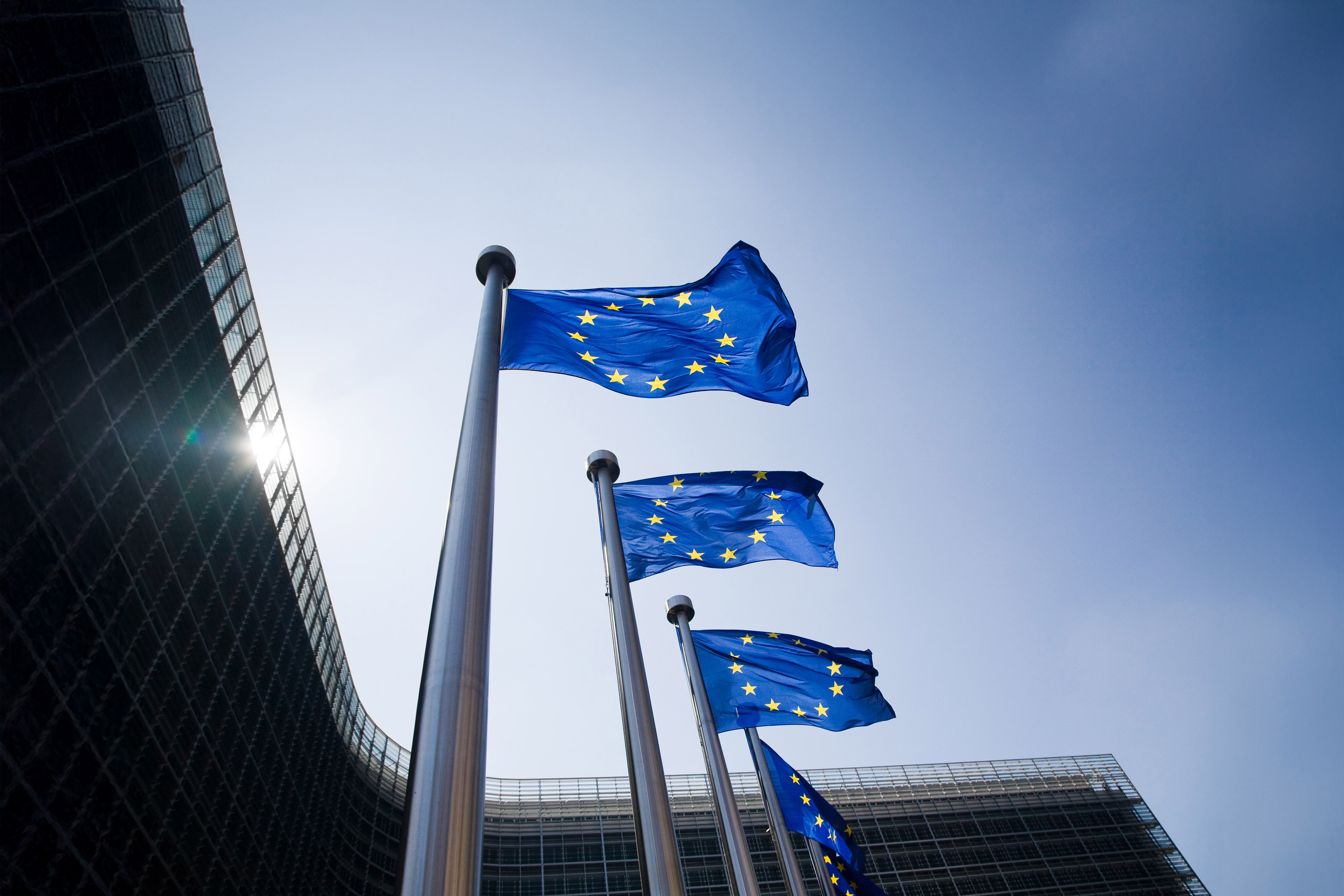 EU Omnibus developments: key points for business leaders | EY - Global