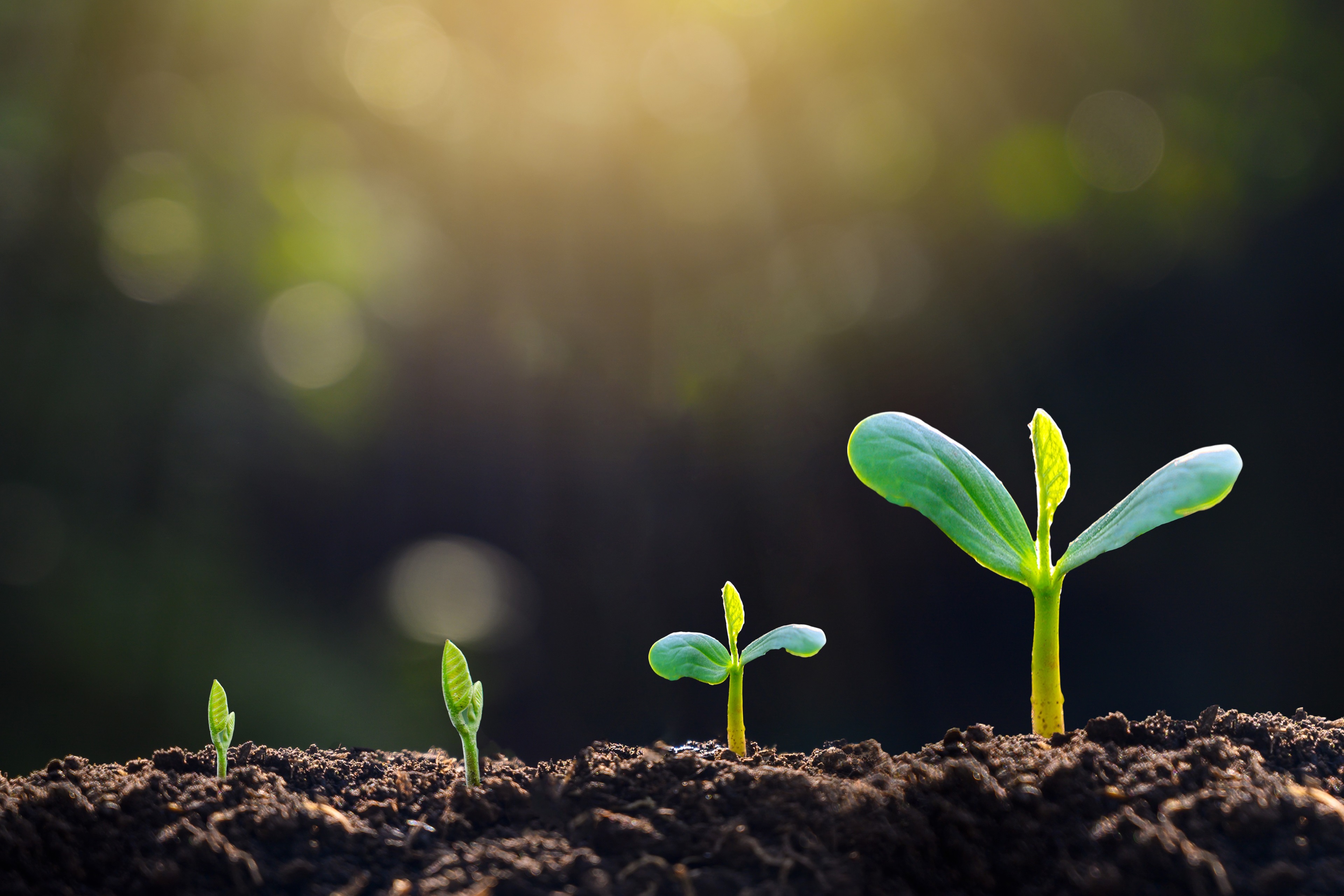 Climate Action Plan Ireland 2025: What It Means for Business | EY - Ireland