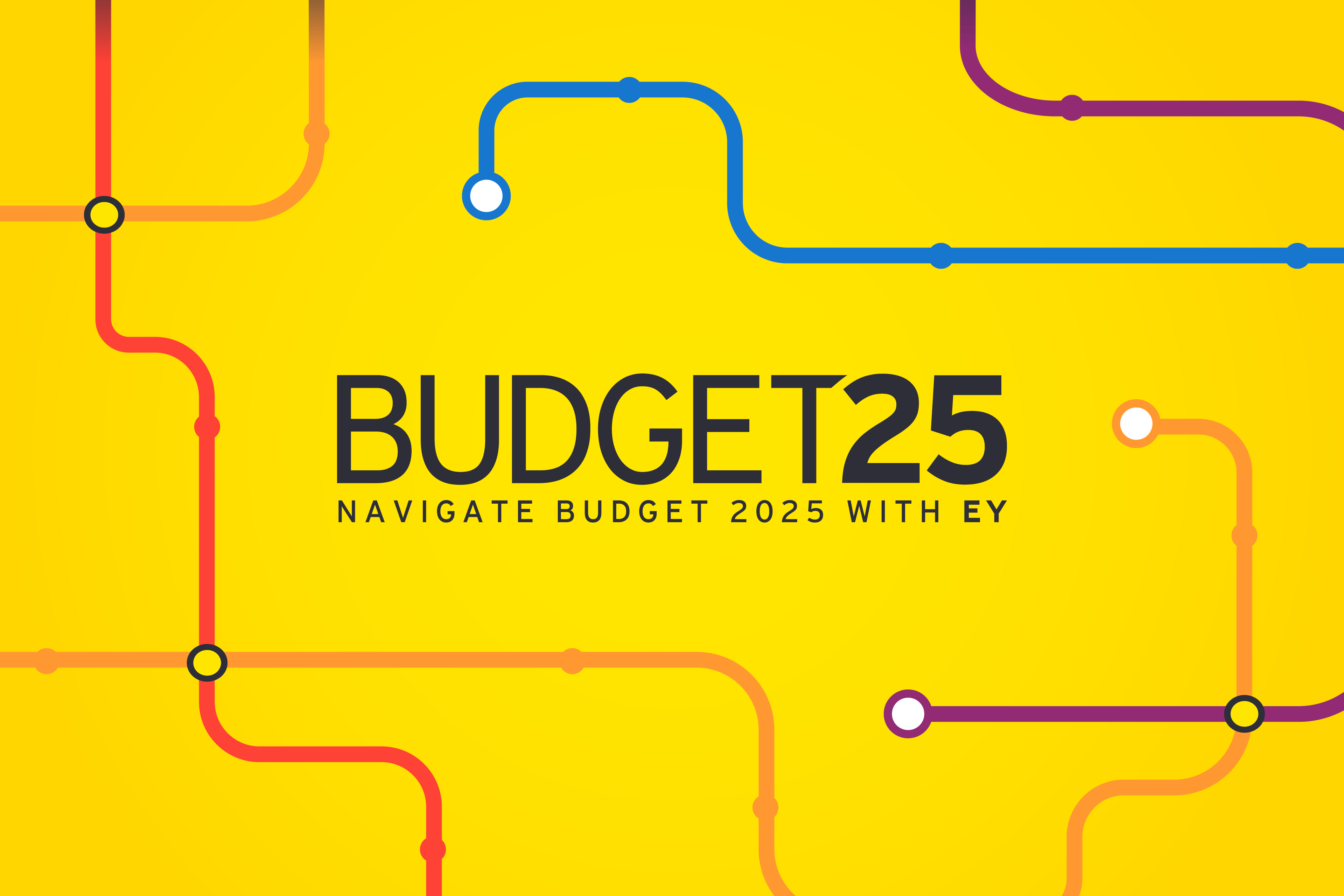 Budget 2025 - Government official documents | EY - Ireland