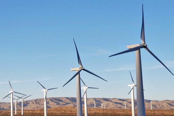 GST Compliance with EY DigiGST | Connect with us form | EY - India