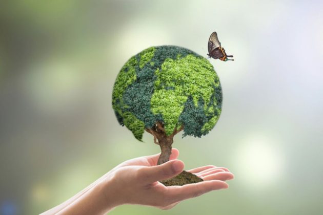 Climate change & sustainability services | EY - India