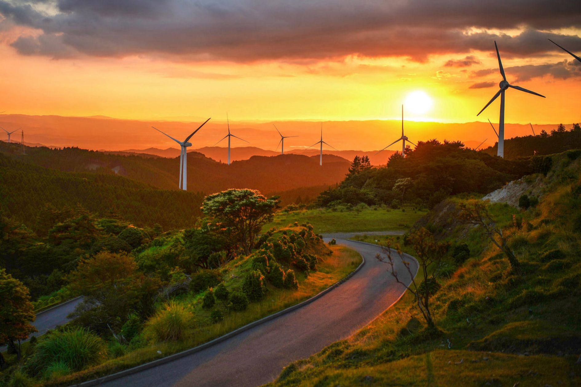 Odisha's roadmap for clean energy transformation | EY - India
