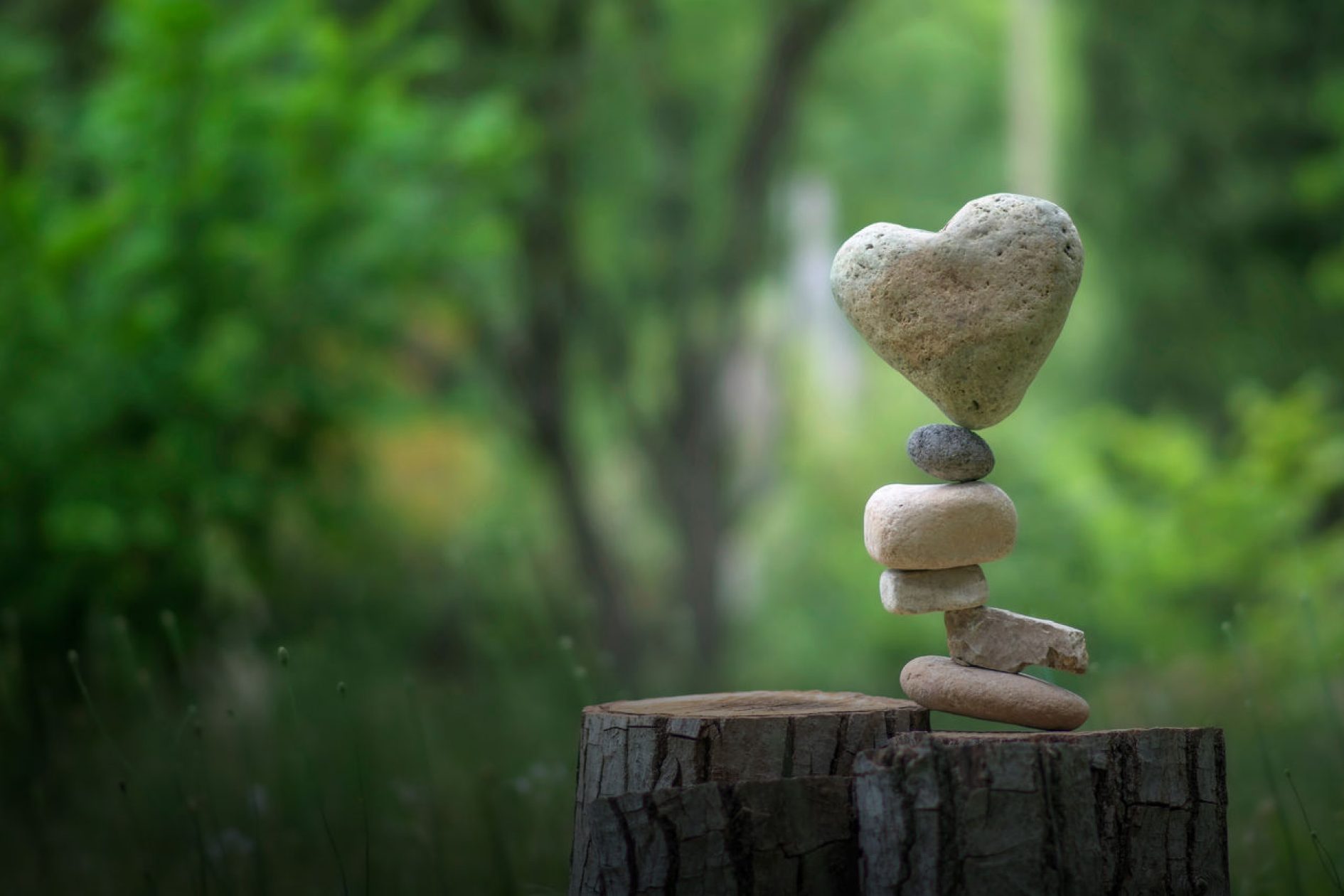 Insights - Industry Trends & Industry Analysis | EY - India