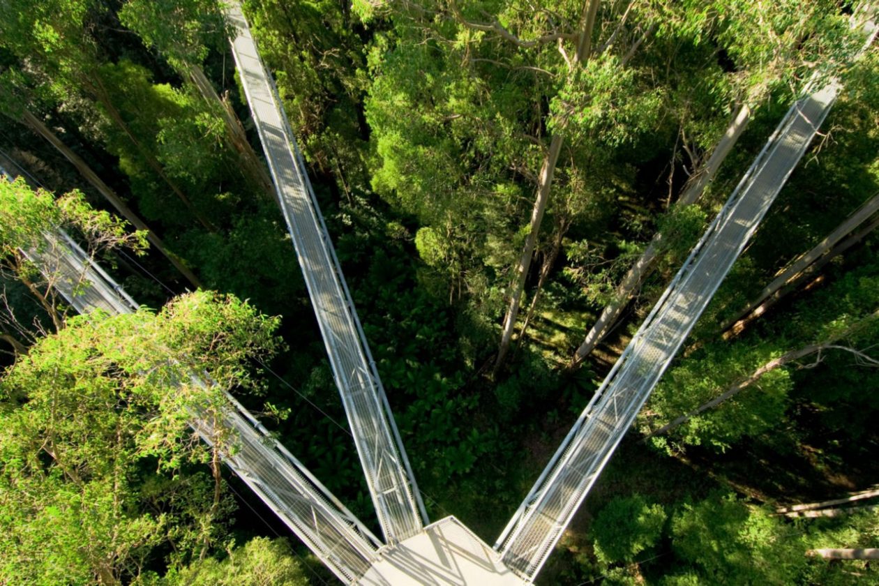 Sustainability governance, risk and compliance (GRC) solution | EY - India