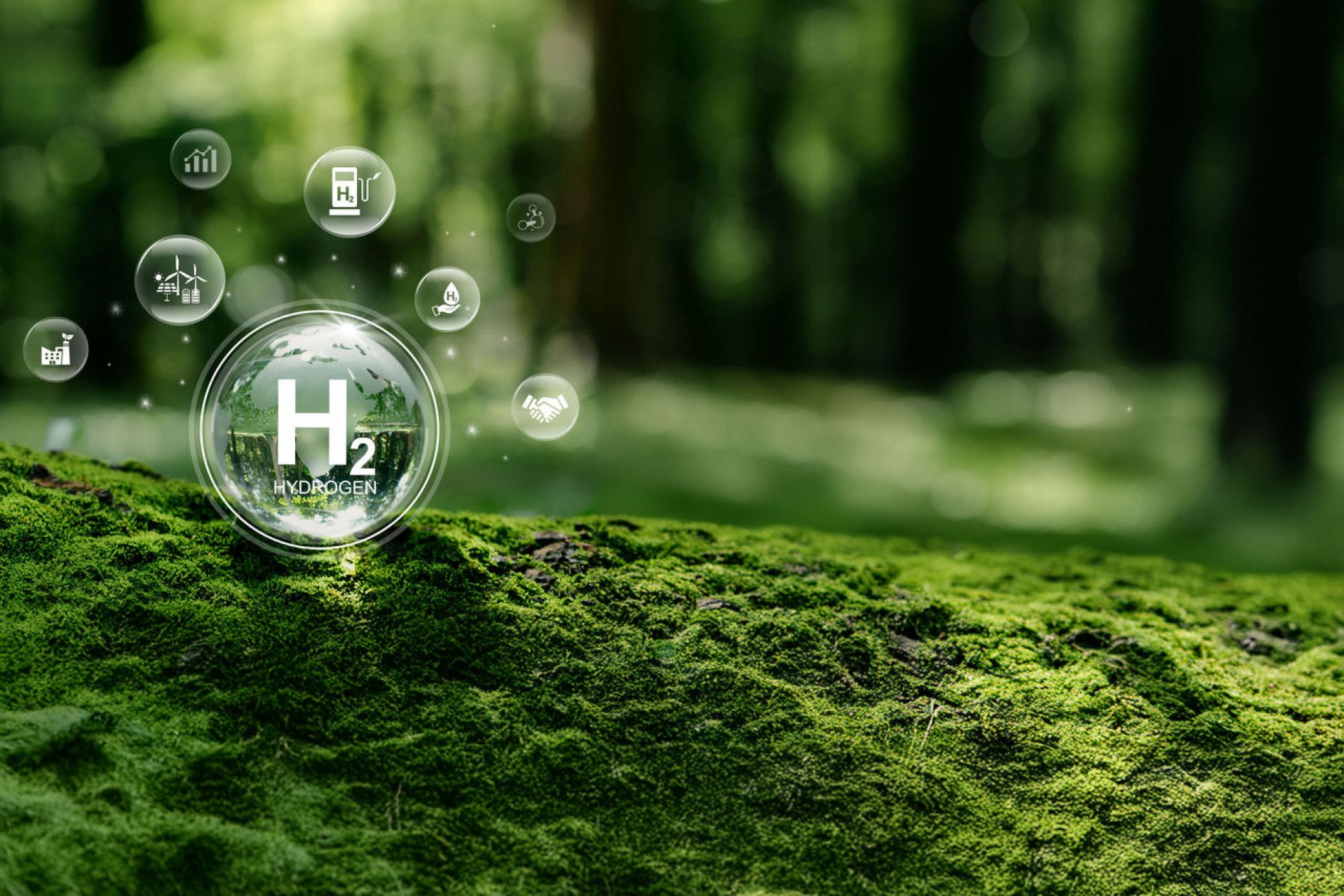 Strategy Consulting Services | EY-Parthenon India | EY - India