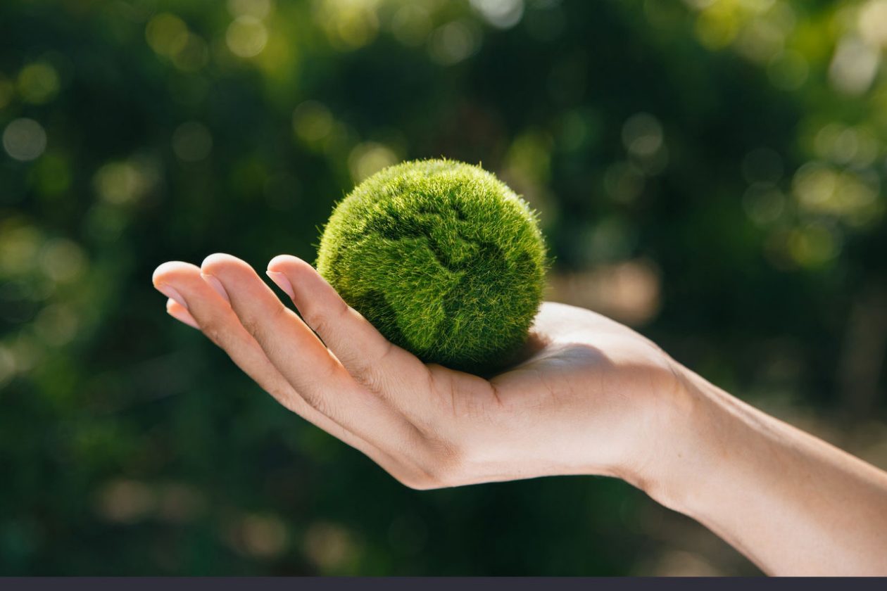 Climate change & sustainability services | EY - India