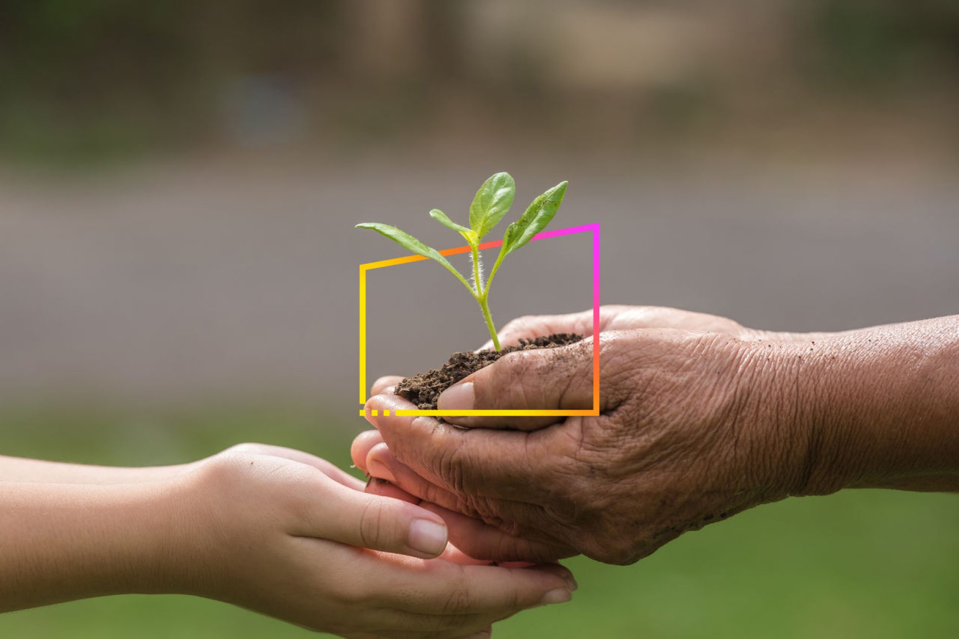 Document Anomaly & Transaction Analytics with AI | EY - India