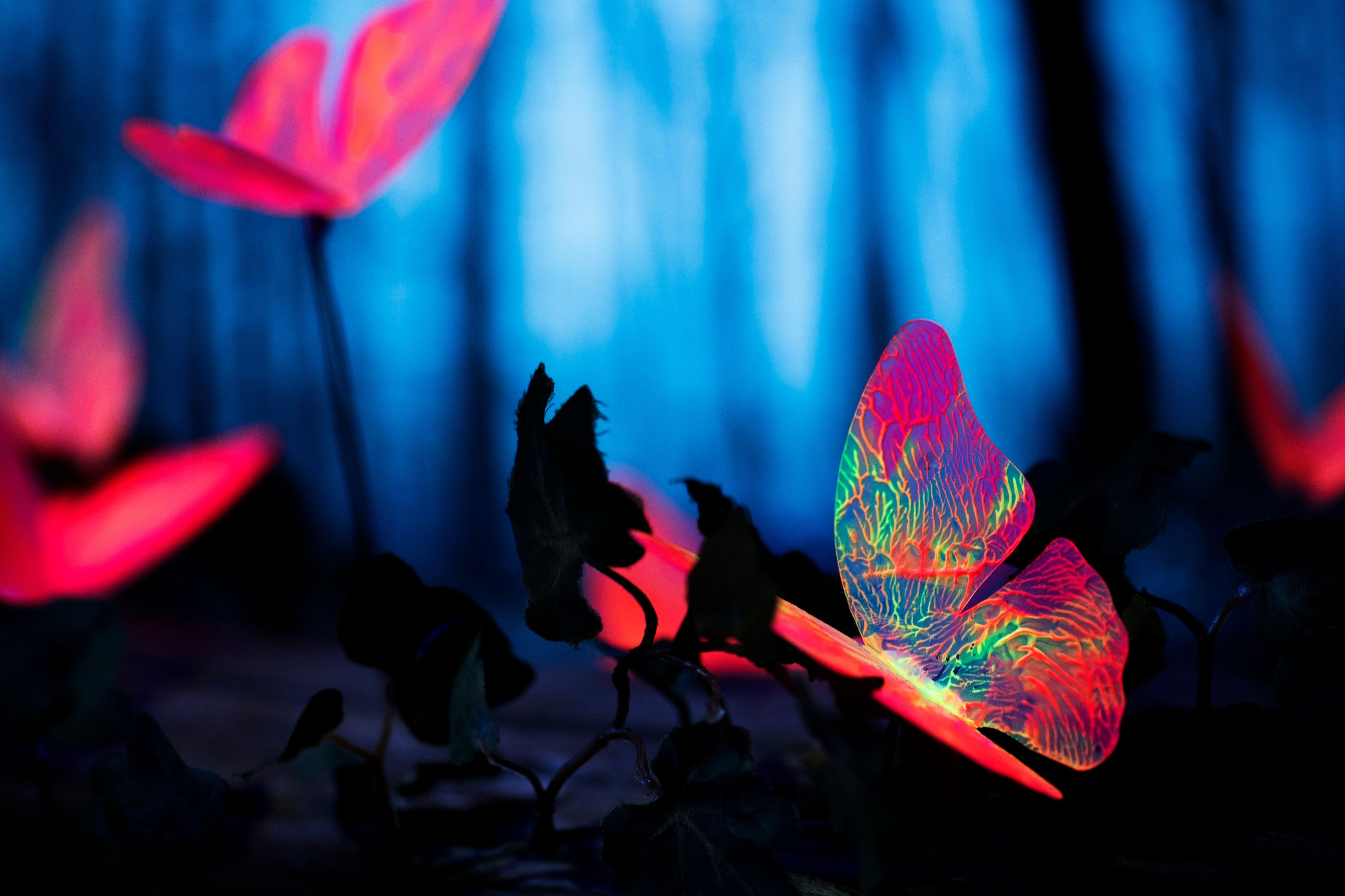 EY Baltics webcast: Sustainability in real life | EY - Global