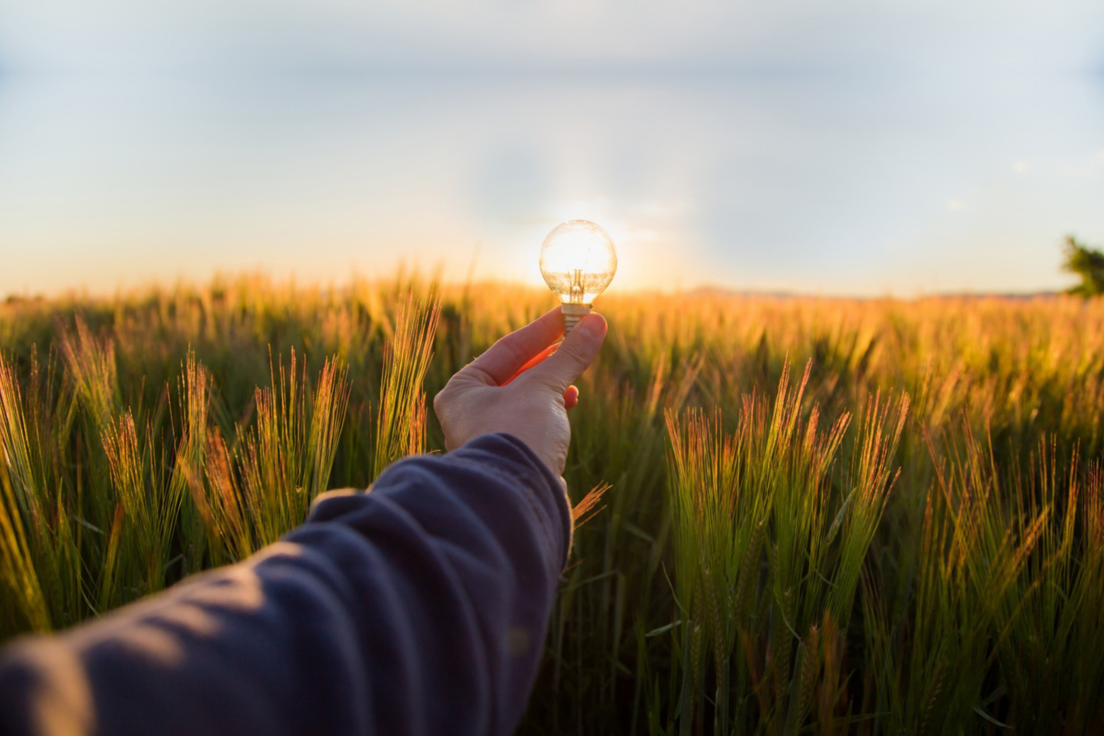 EY UK 2023 Transparency Report | EY - UK