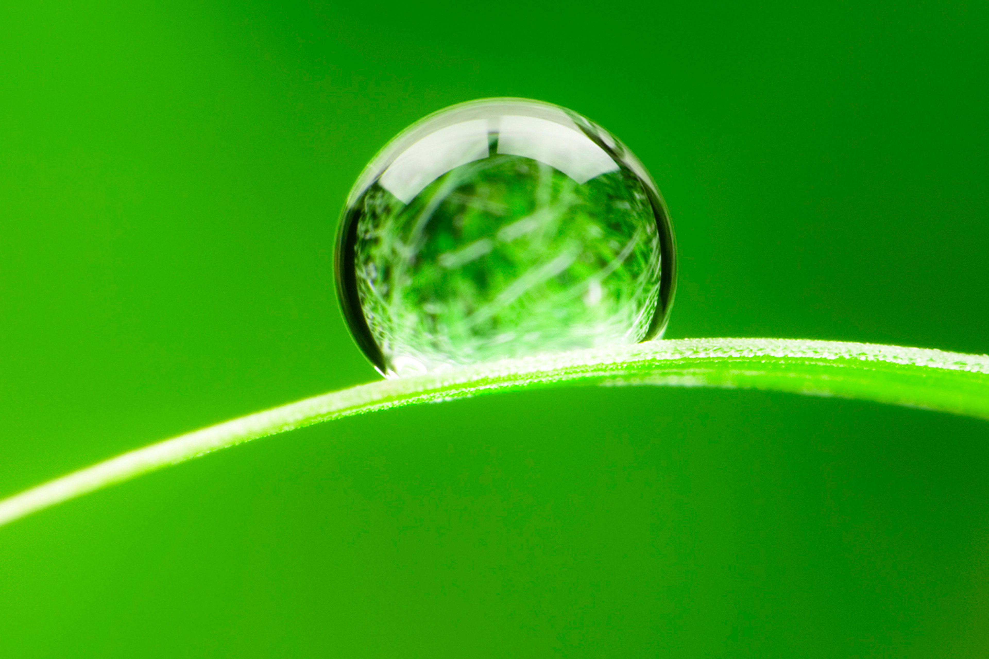 Environmental objectives and targets | EY UK | EY - UK