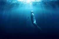 EY Canvas – Audit technology | EY - UK