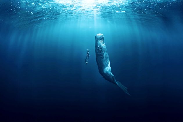 EY Total Reporting | EY - UK