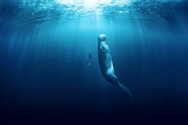 The EY audit committee guide | EY - UK