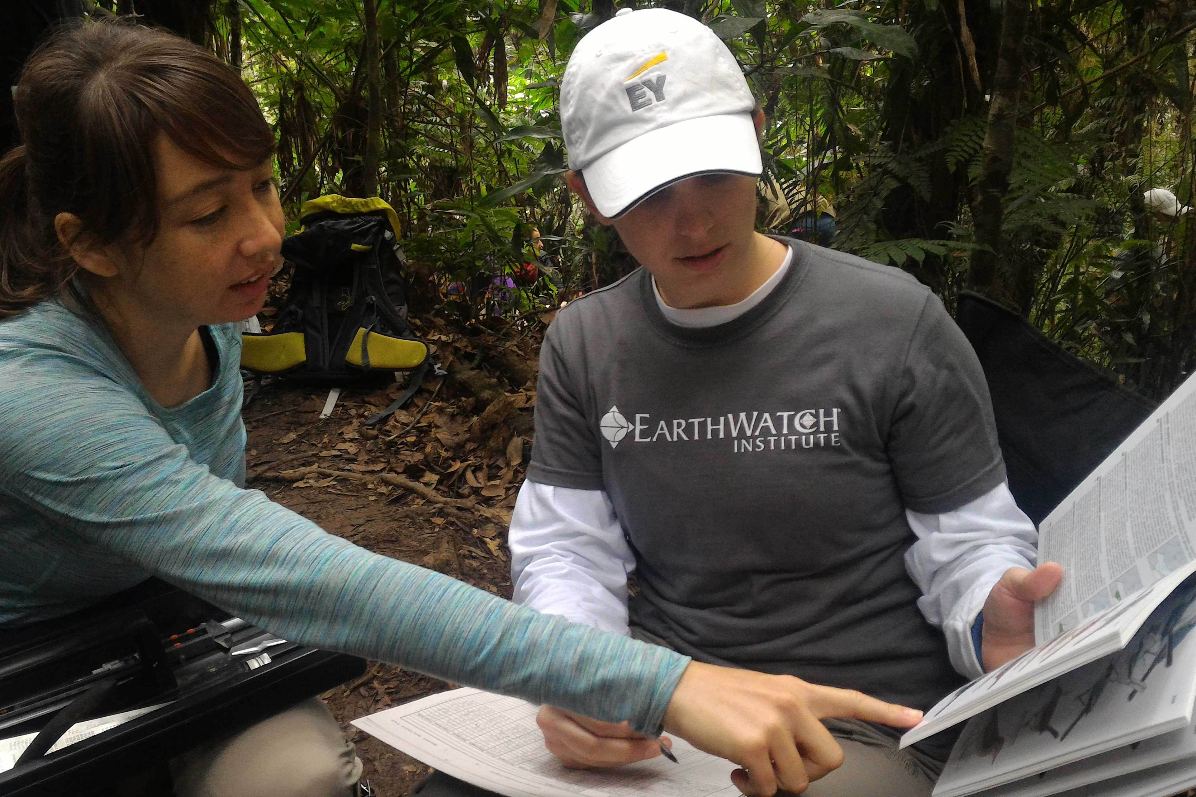 How EY-Earthwatch Ambassadors strengthen the environment | EY - US