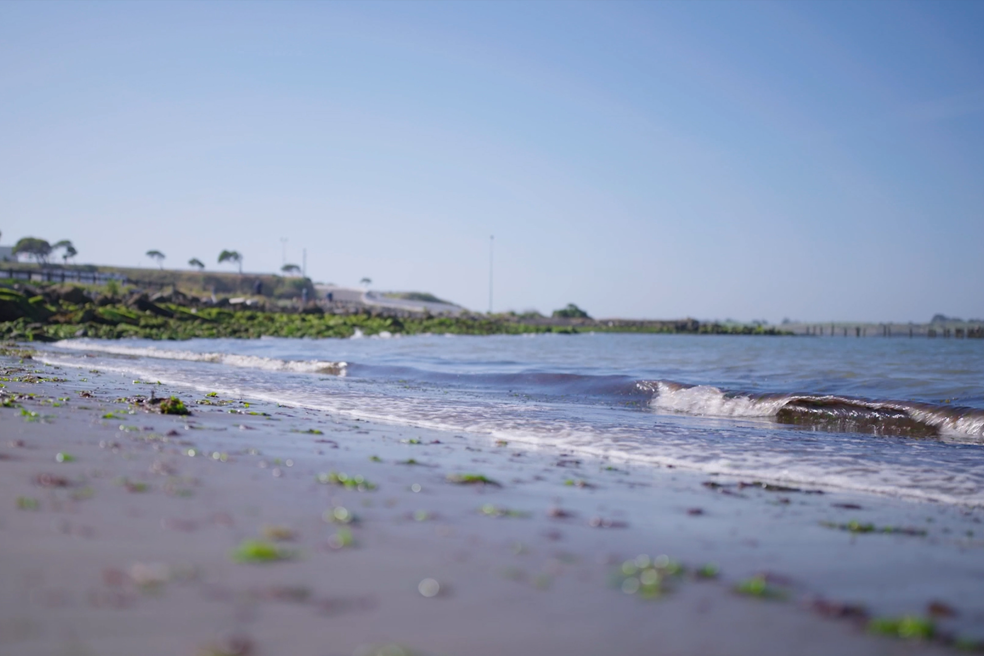 EY in the San Francisco Bay Area | EY - US