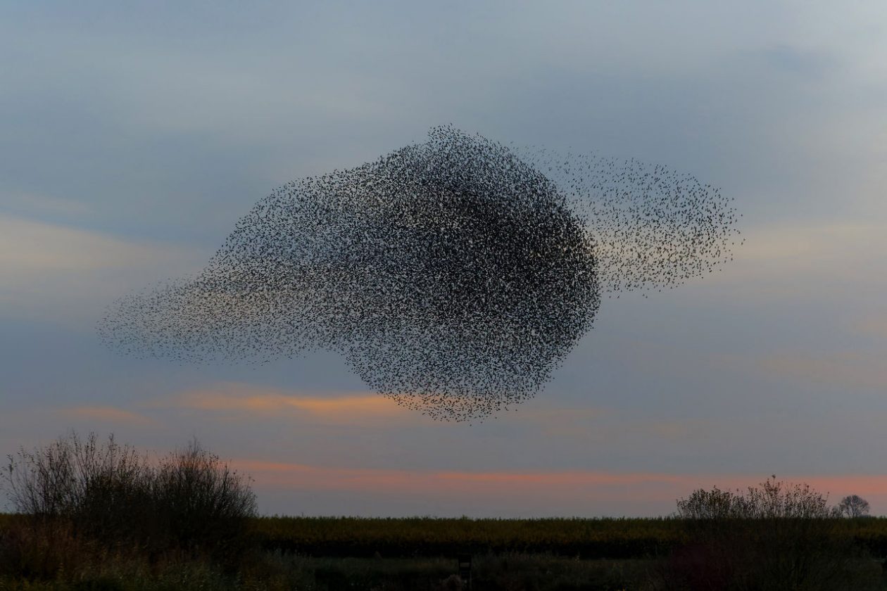 Supply chain solutions for operations leaders | EY - US