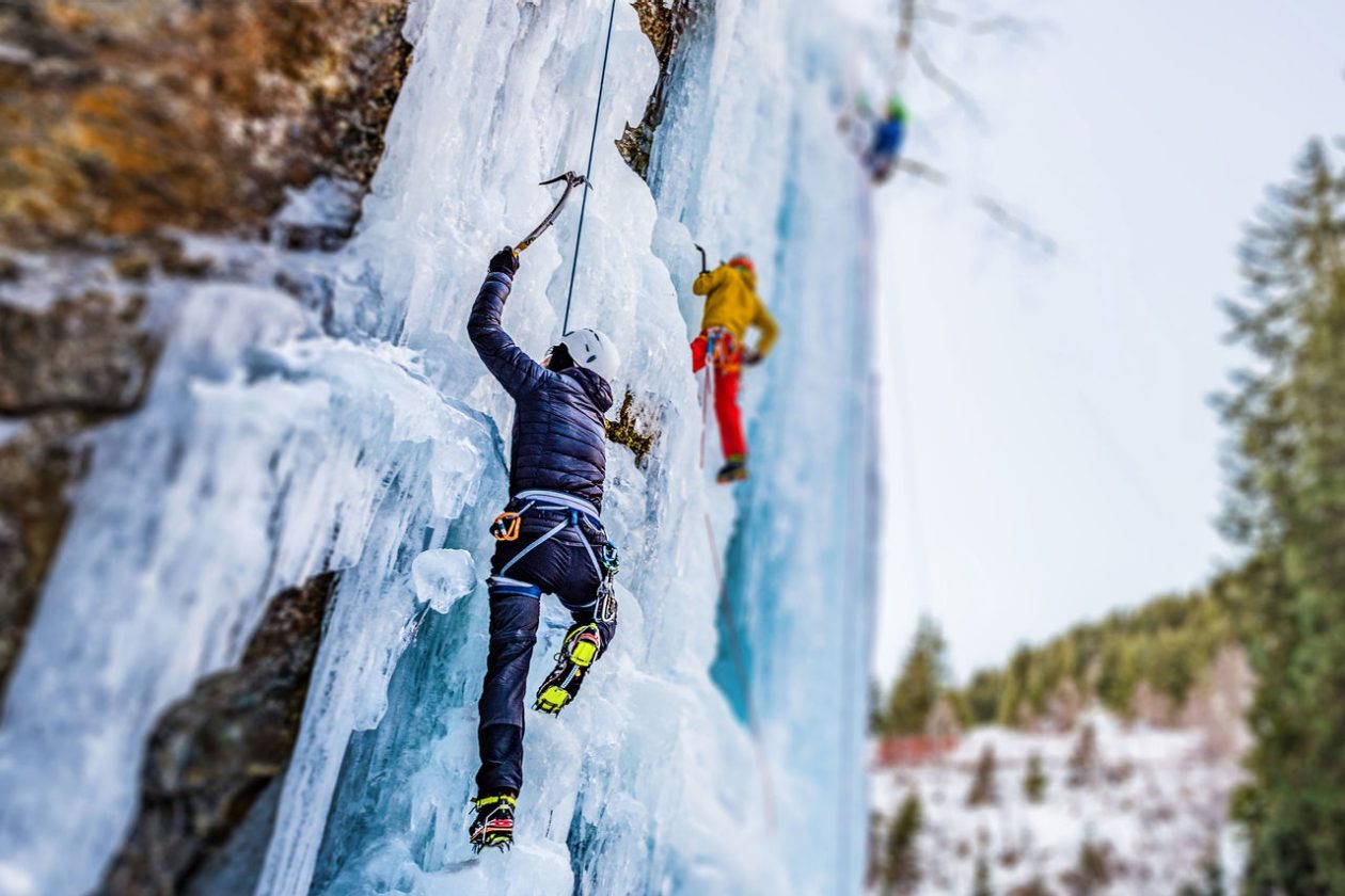 EY Canvas – Audit technology | EY - US