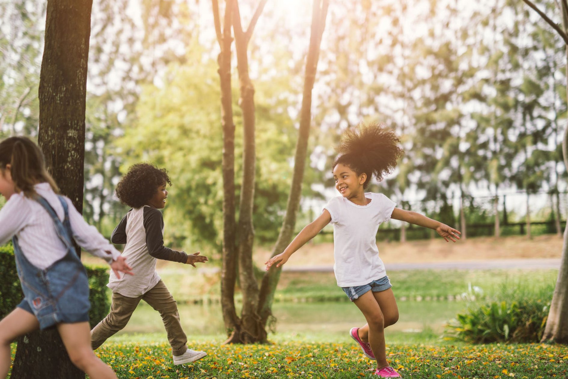 EY Grants Accelerator grants management solution | EY - US