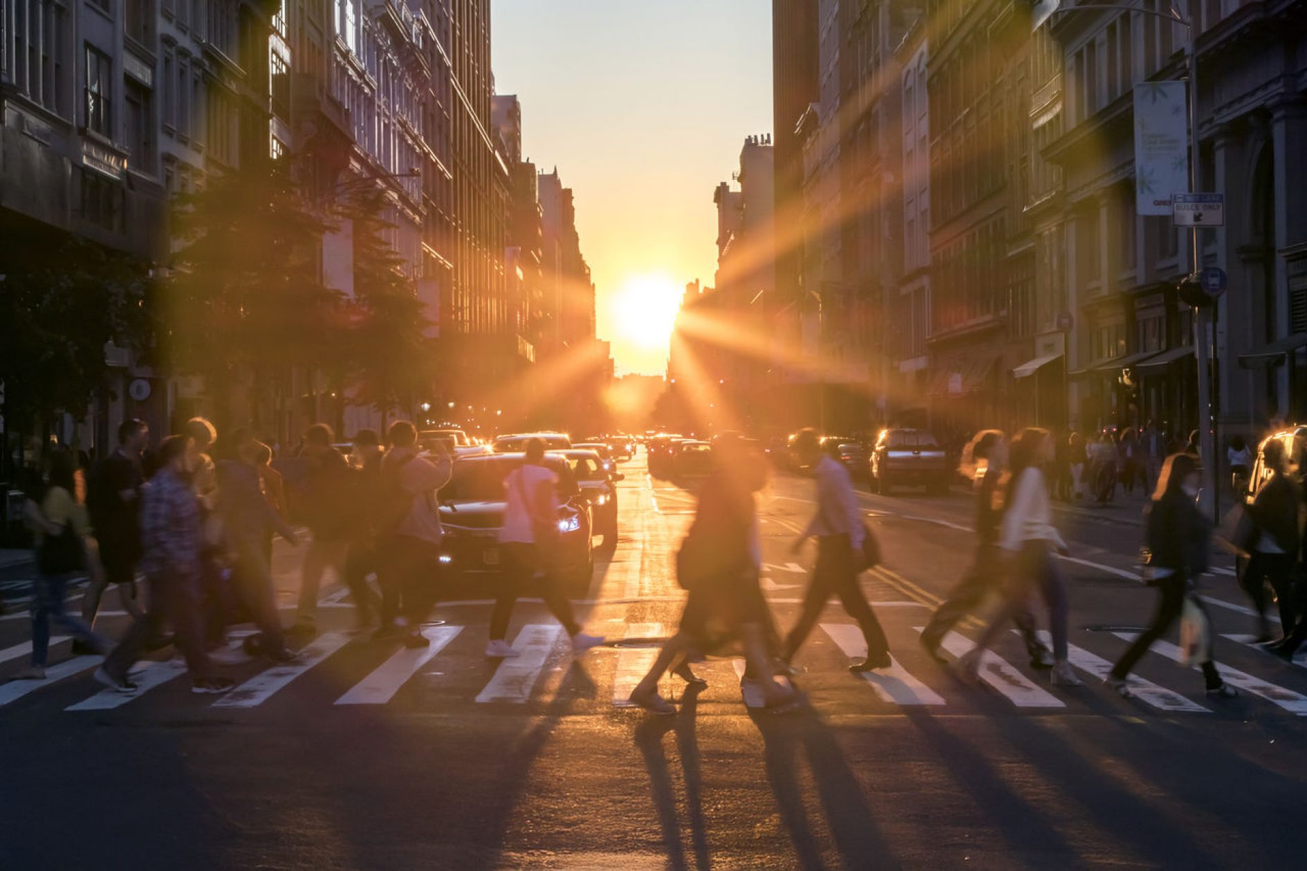 Economic Impact Analysis | EY - US