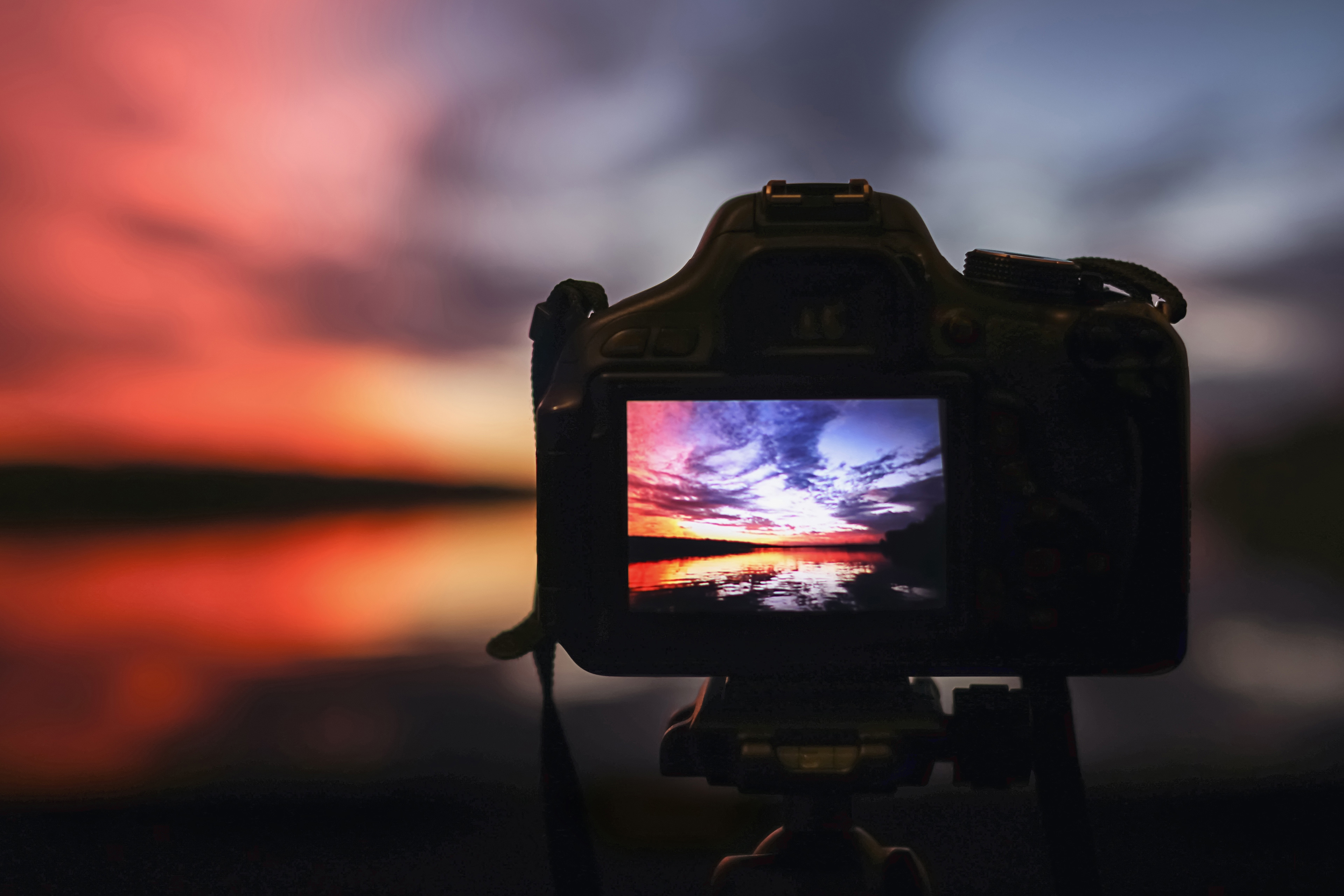 EY Announces Entrepreneur Of The Year® 2024 Greater Philadelphia Award ...