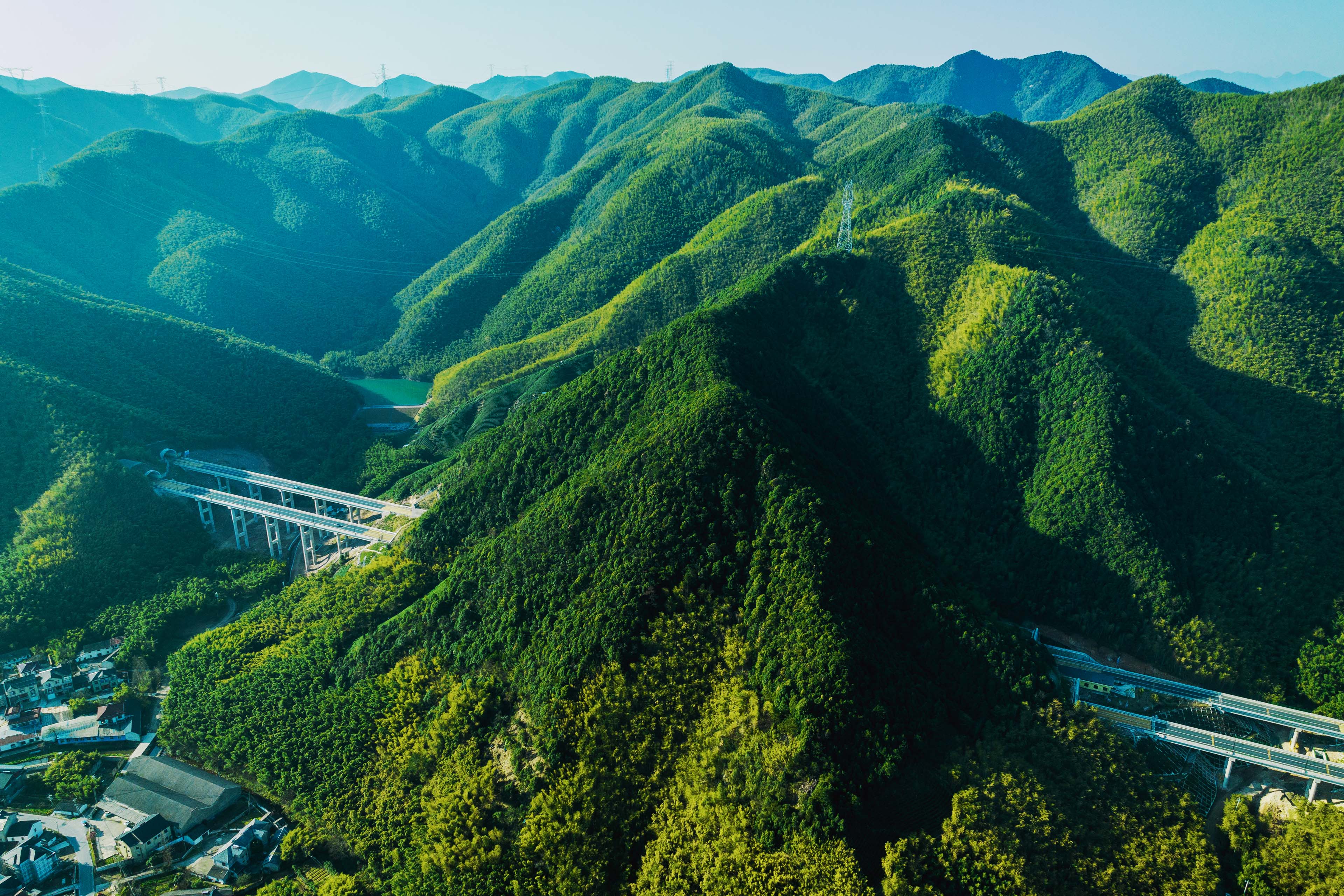 Technology Risk | EY - US